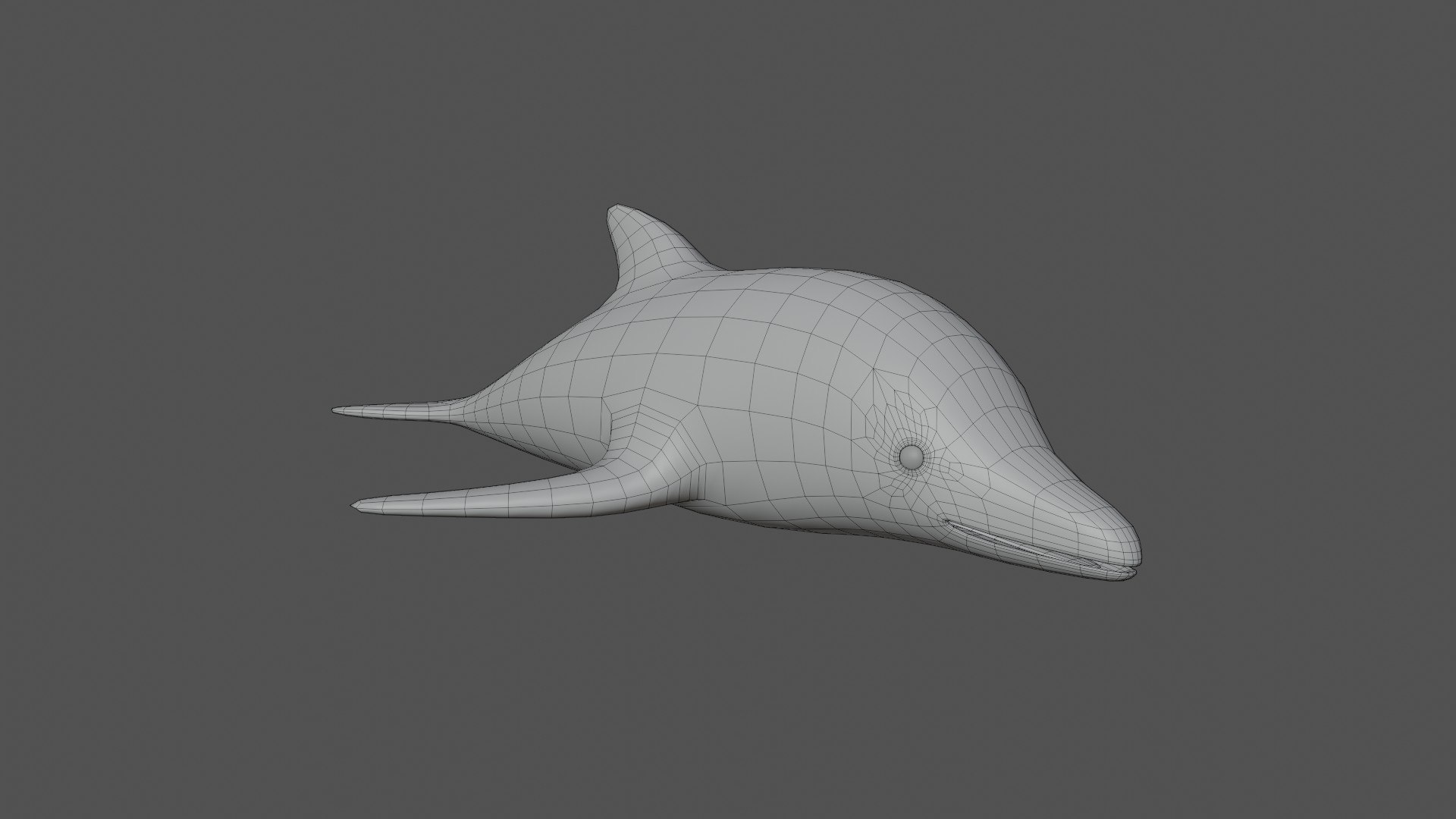 Cartoon Dolphin Model - TurboSquid 1953415