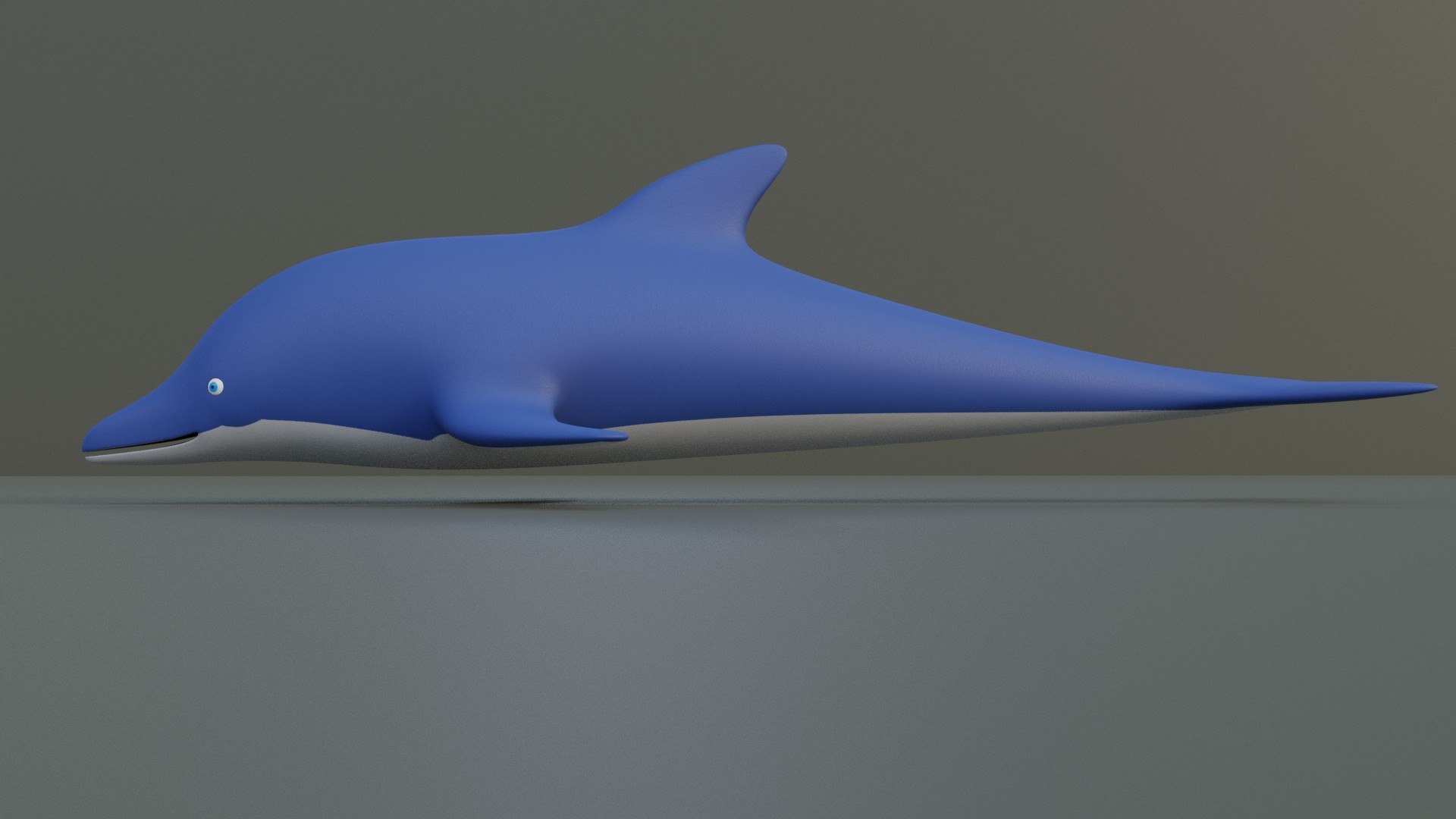Cartoon Dolphin Model - TurboSquid 1953415