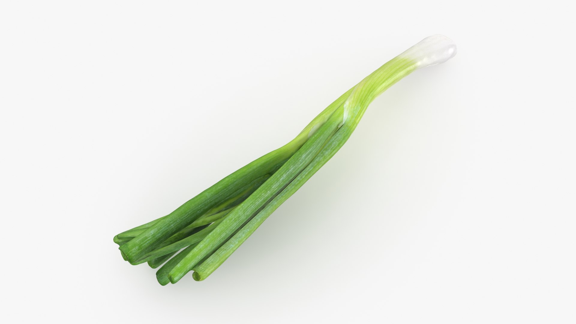3D model Green Onion 01 - TurboSquid 2178598