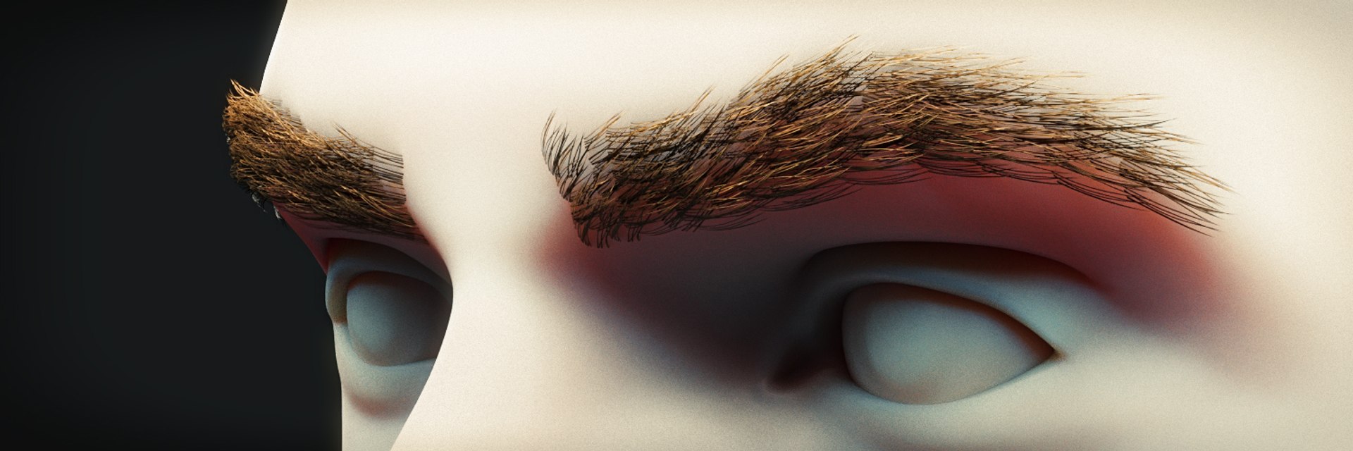 Eyebrows 5 3D - TurboSquid 1491706