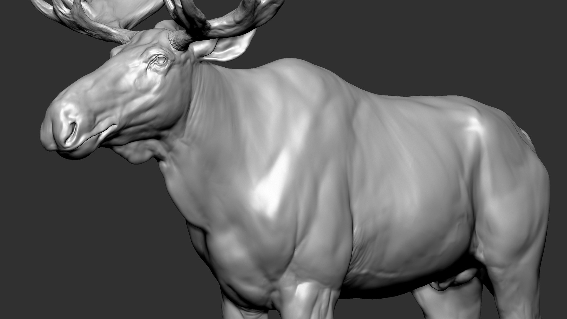 3D Moose VFX MUSCLE SIMULATION - TurboSquid 1886626