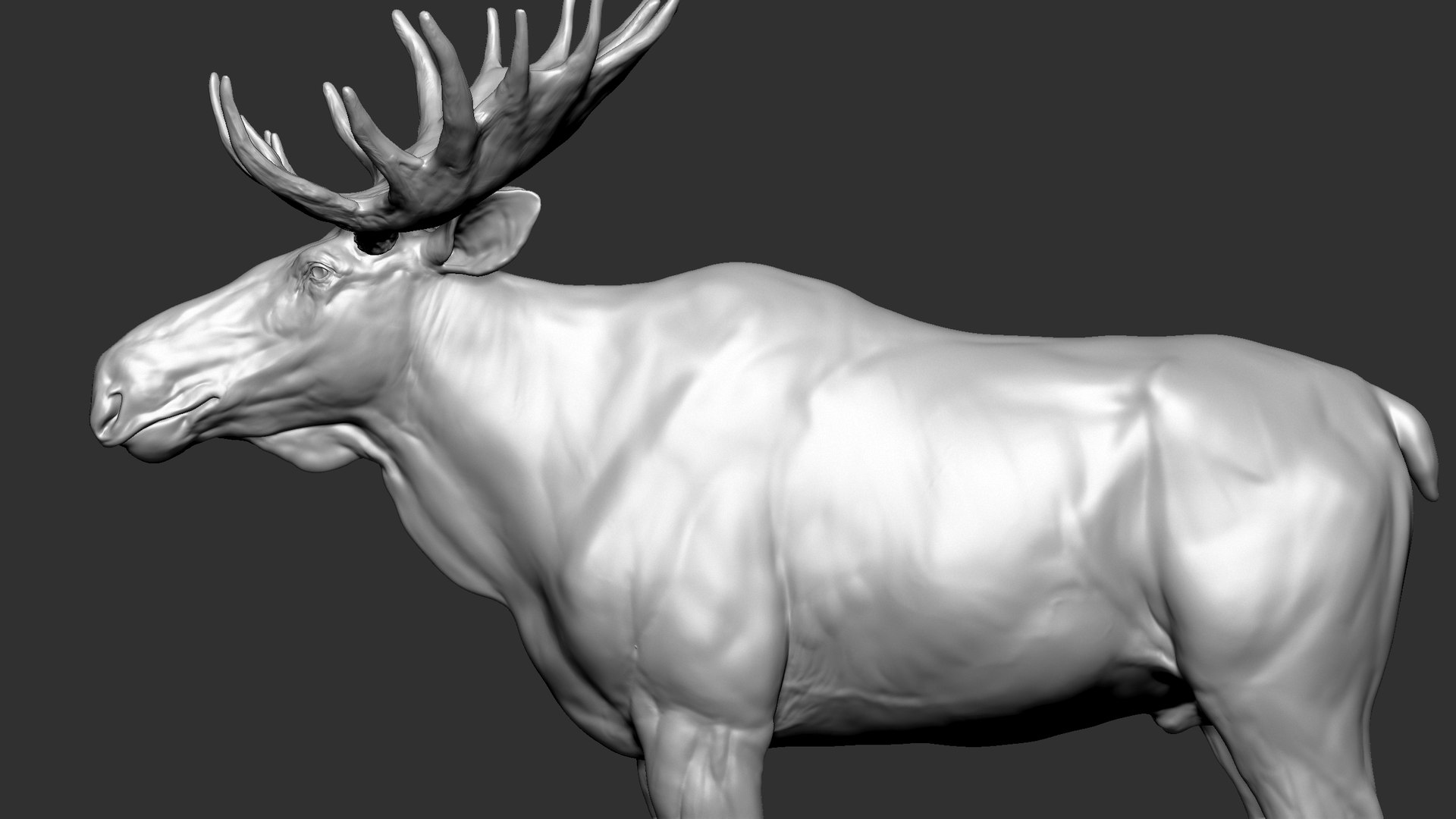 3D Moose VFX MUSCLE SIMULATION - TurboSquid 1886626