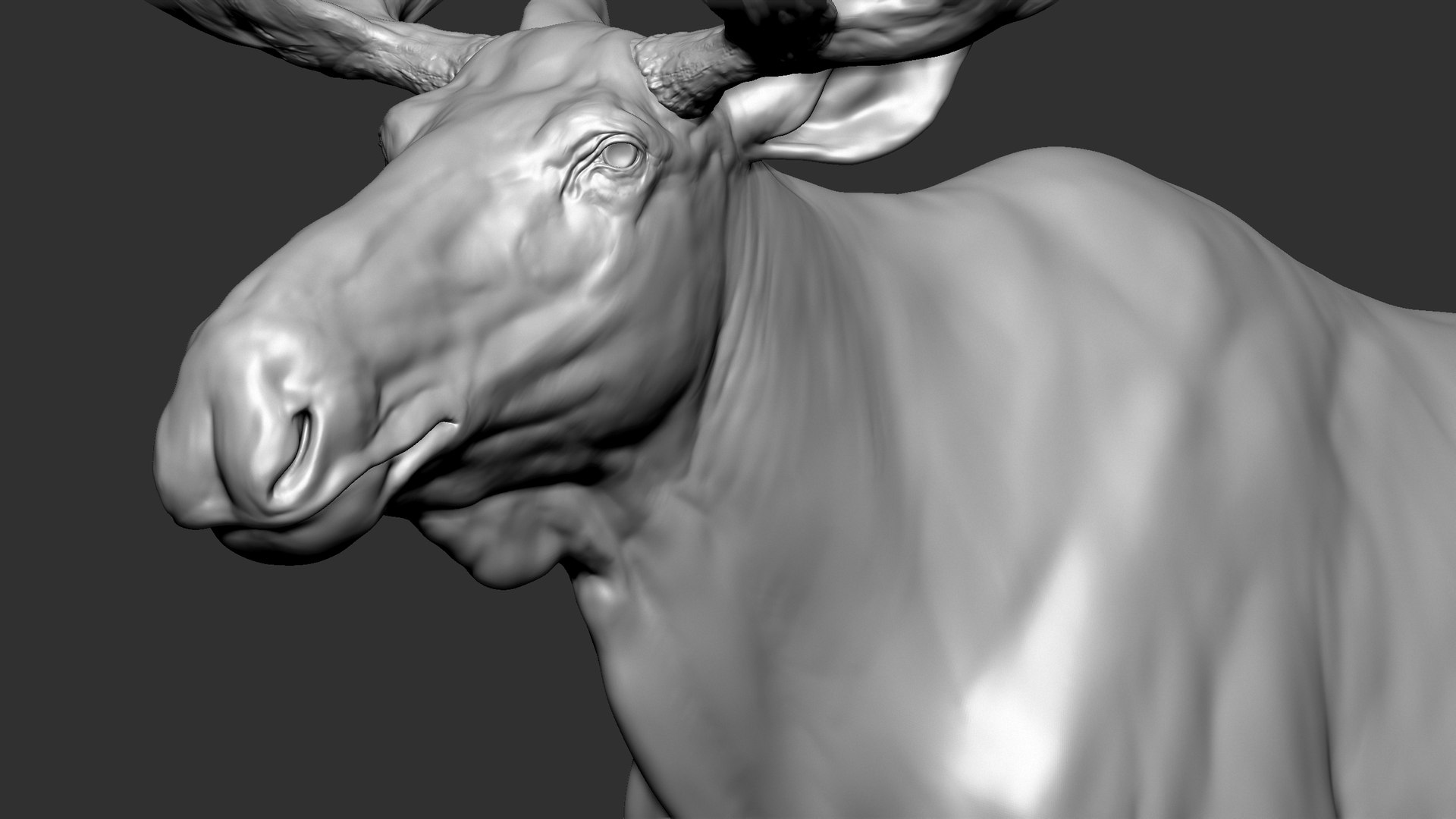 3D Moose VFX MUSCLE SIMULATION - TurboSquid 1886626