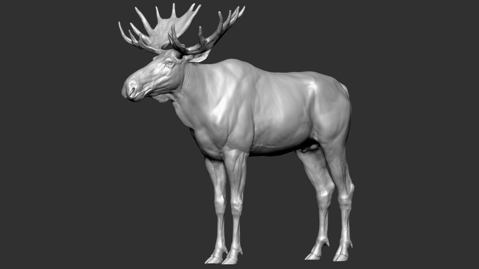 3D Moose VFX MUSCLE SIMULATION - TurboSquid 1886626