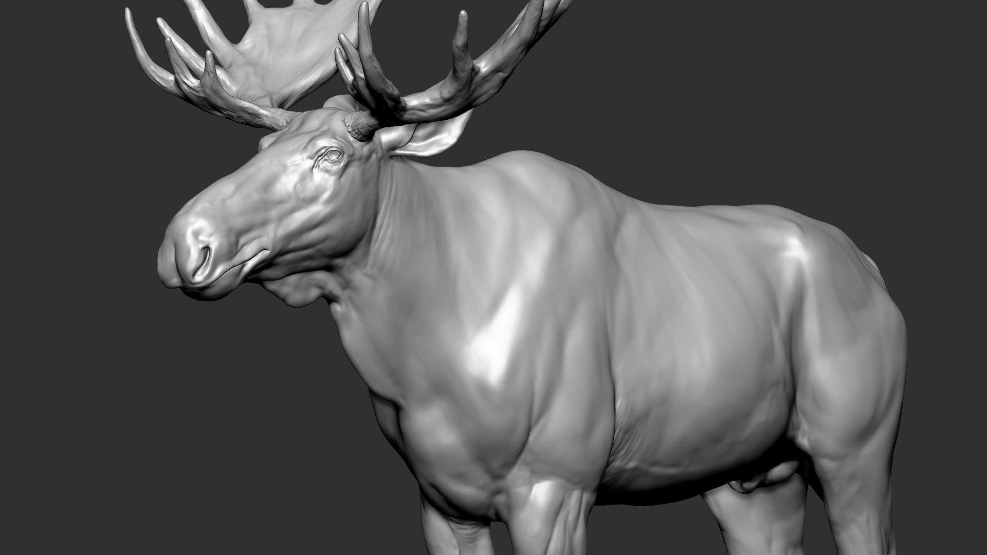 3D Moose VFX MUSCLE SIMULATION - TurboSquid 1886626