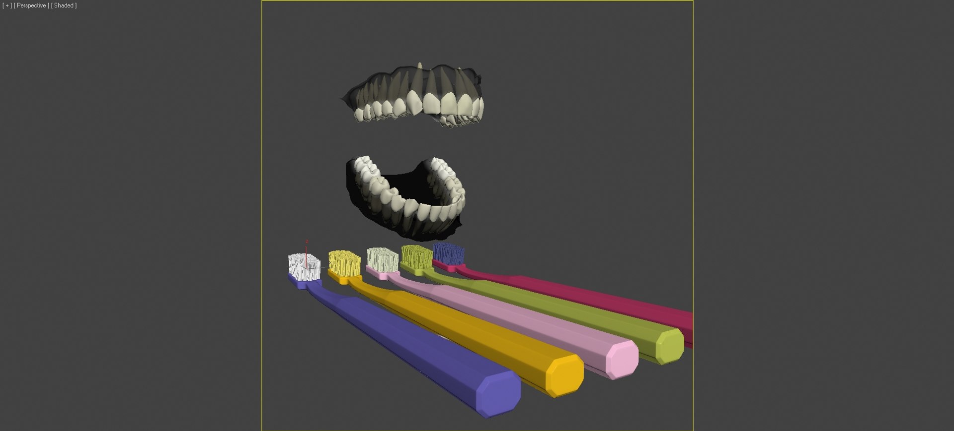 3d Human Teeth Model