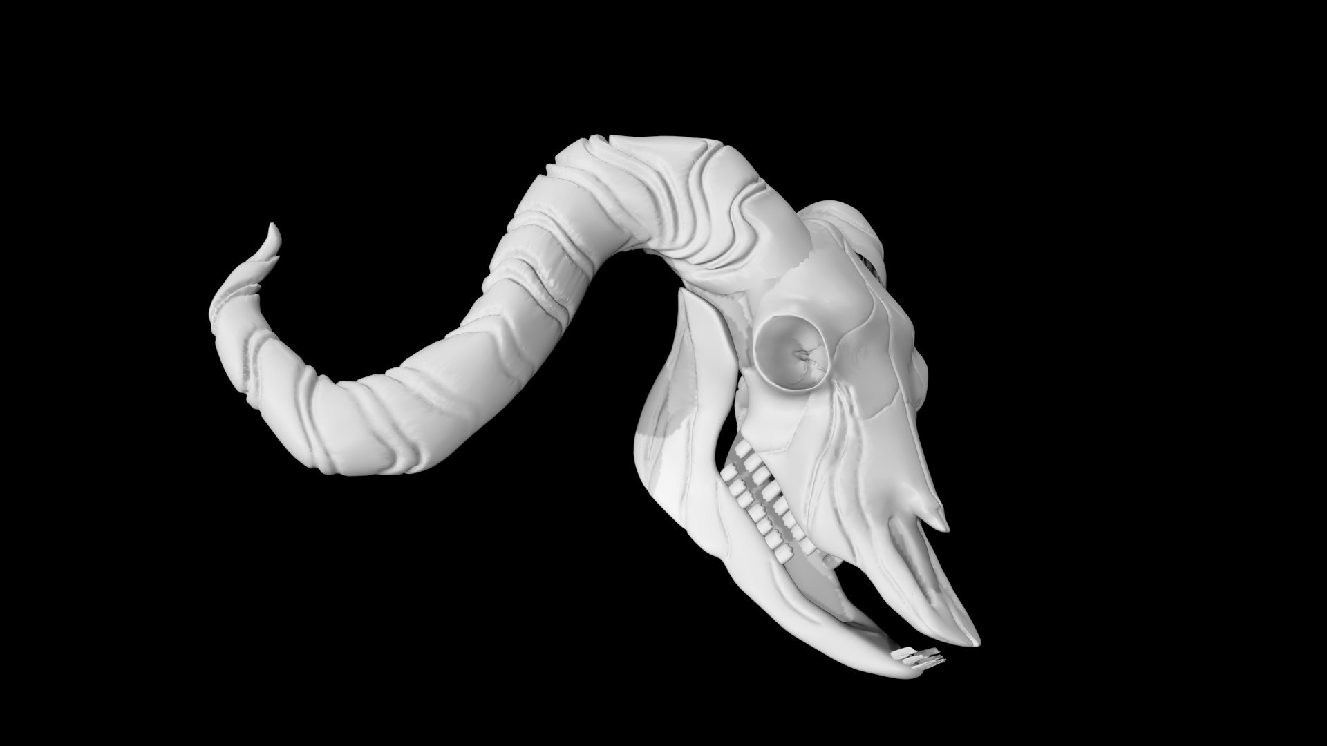 3D Buffalo skull model - TurboSquid 1887856