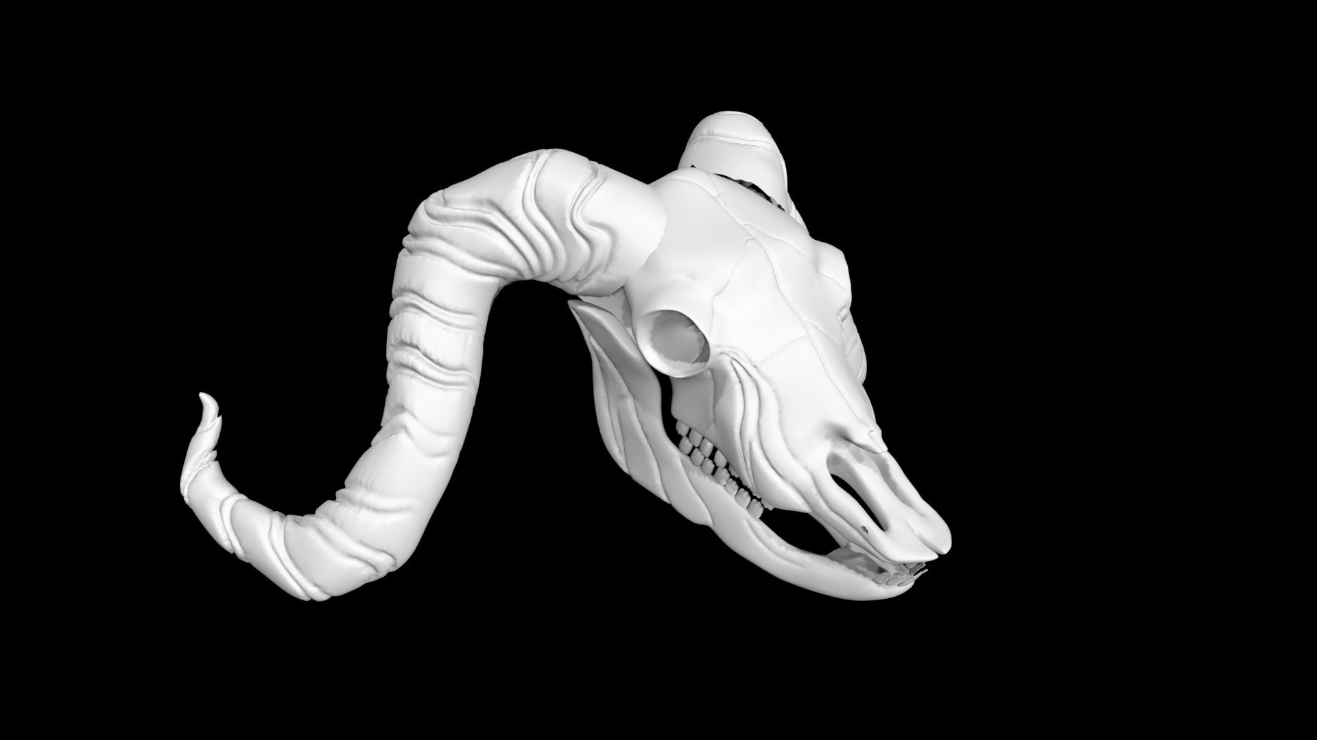 3D Buffalo skull model - TurboSquid 1887856
