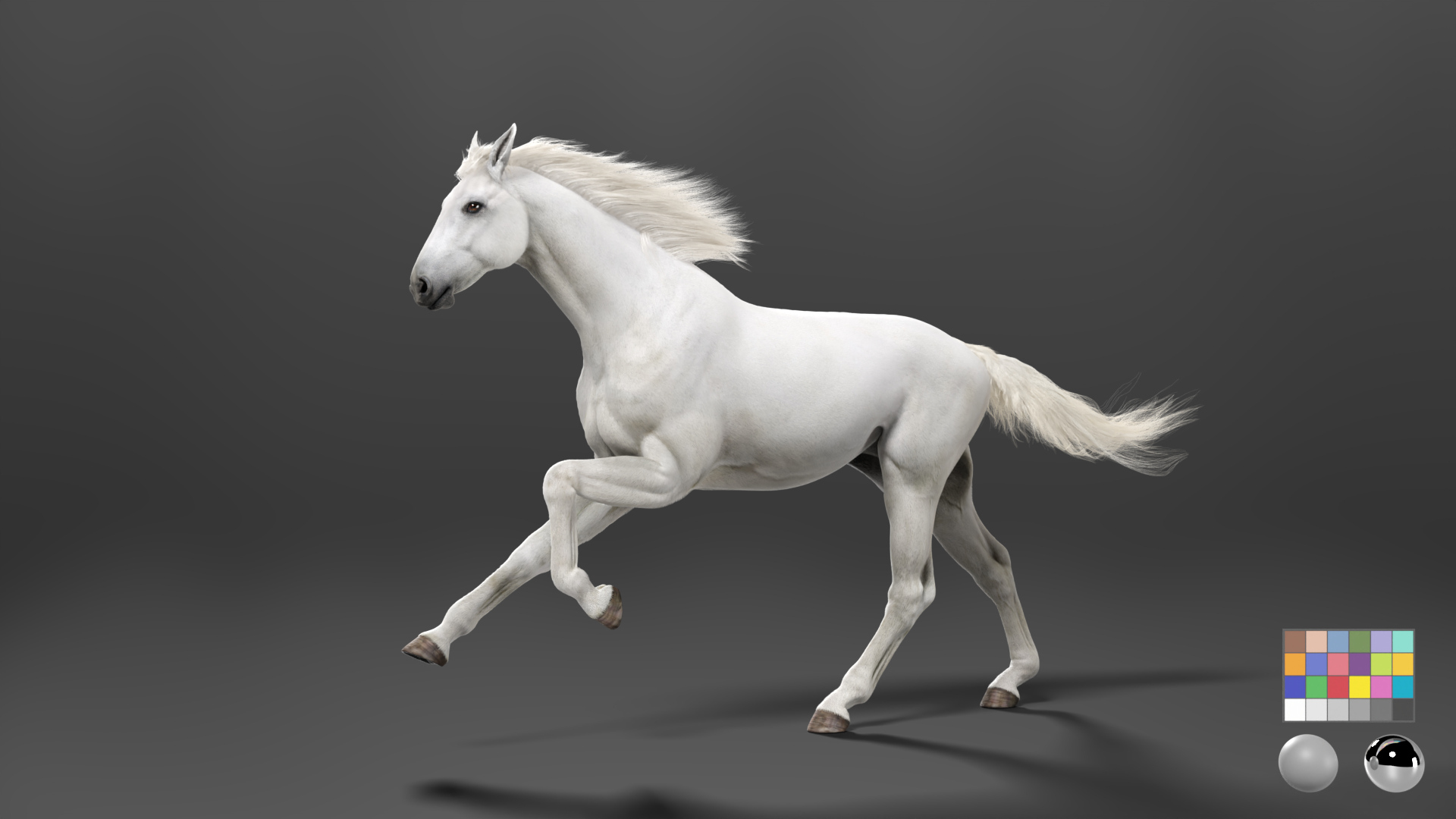 White Horse Animation 3D Model - TurboSquid 2081158