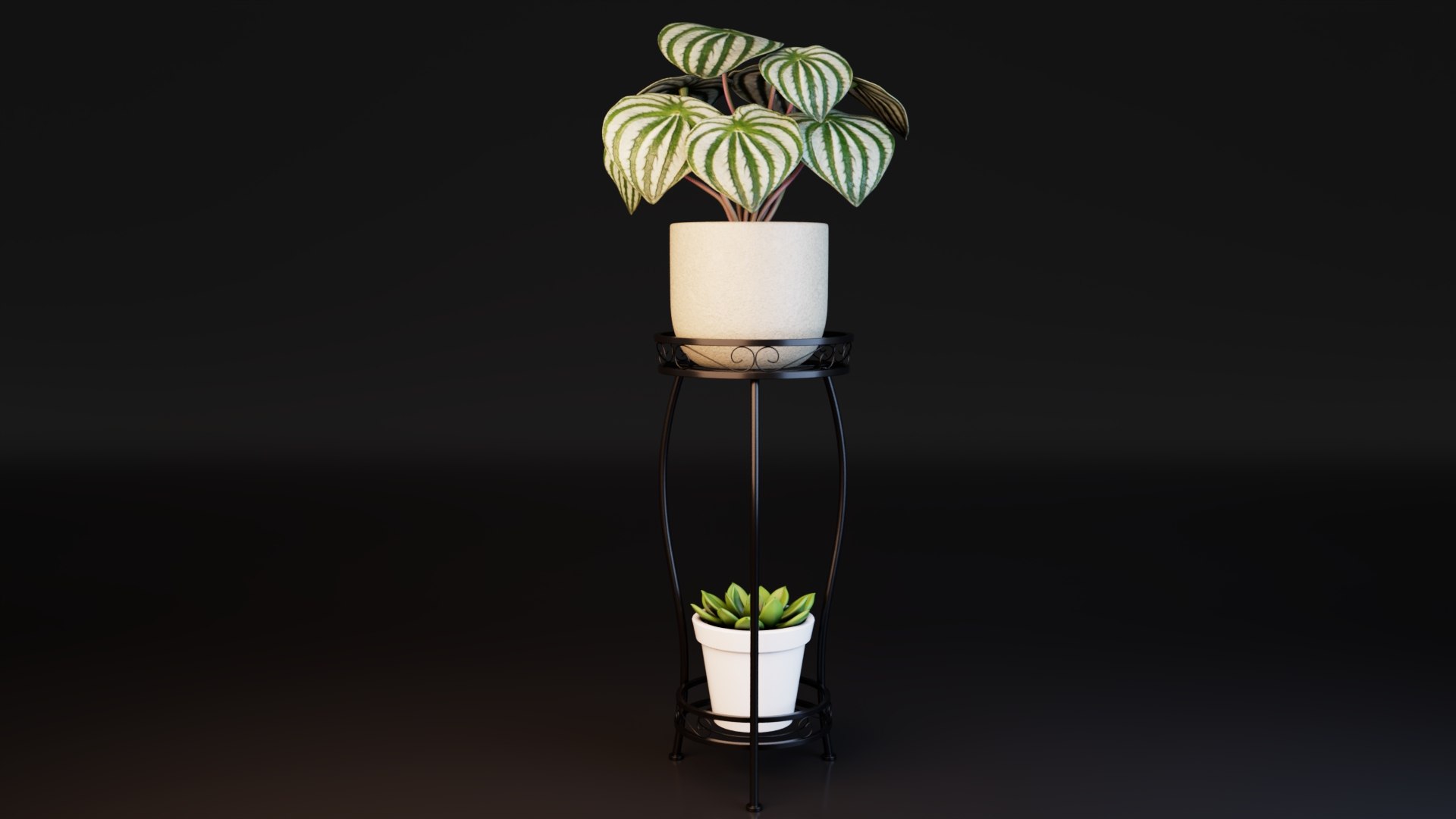 Succulent And Peperomia Plants In A Stylish Stand 3D Model - TurboSquid 2388956