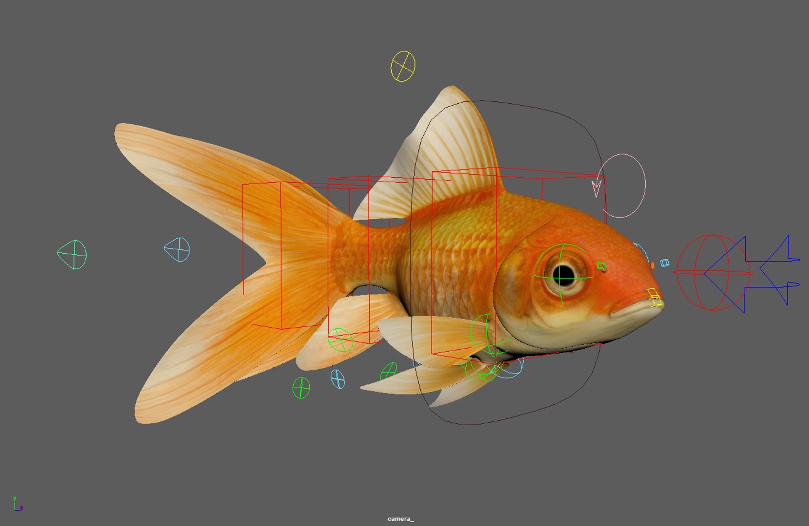 Gold Fish Animated 3D - TurboSquid 2011493
