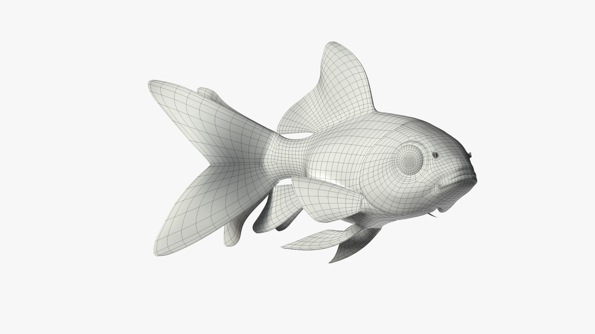 Gold Fish Animated 3D - TurboSquid 2011493