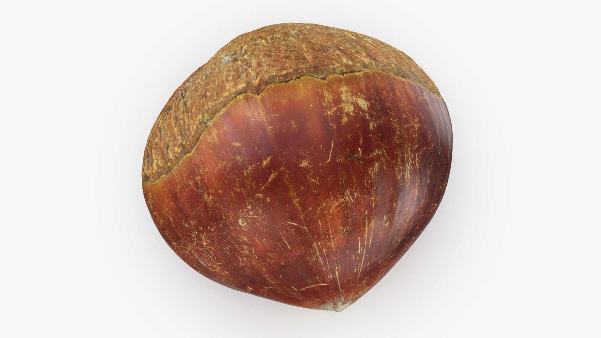 3D Model Chestnut 01 - TurboSquid 2347977