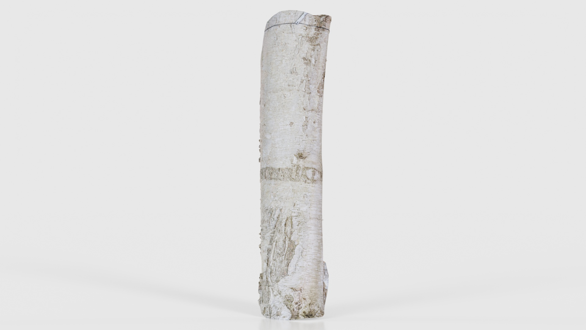 Paper Skin Bark Remastered Model - TurboSquid 2362721