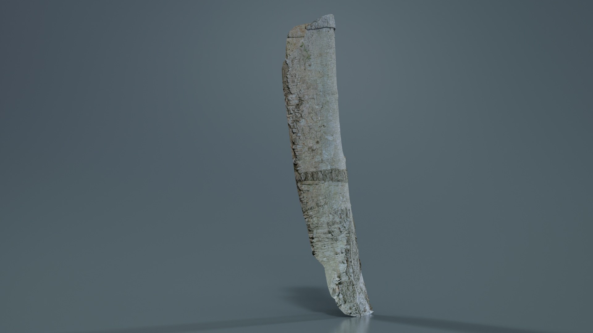 Paper Skin Bark Remastered Model - TurboSquid 2362721