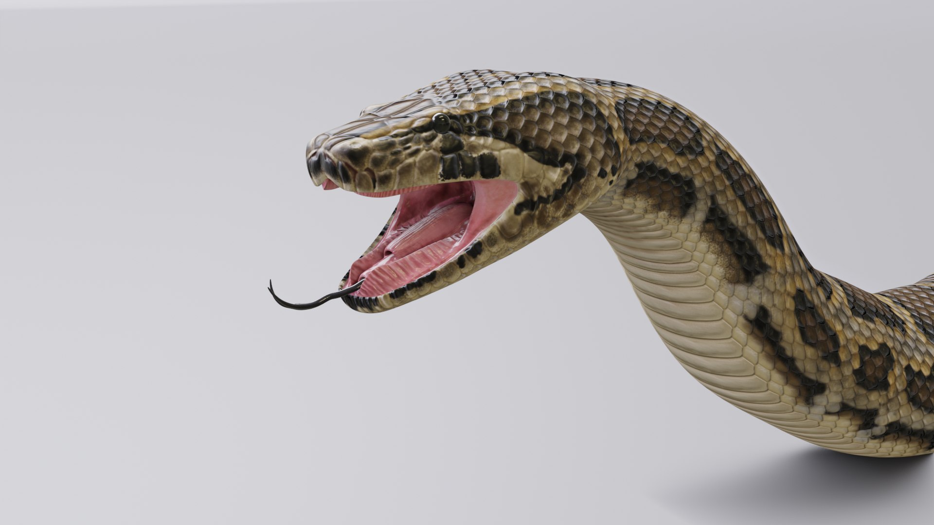 3D Burmese Python Mesh - TurboSquid 1775177