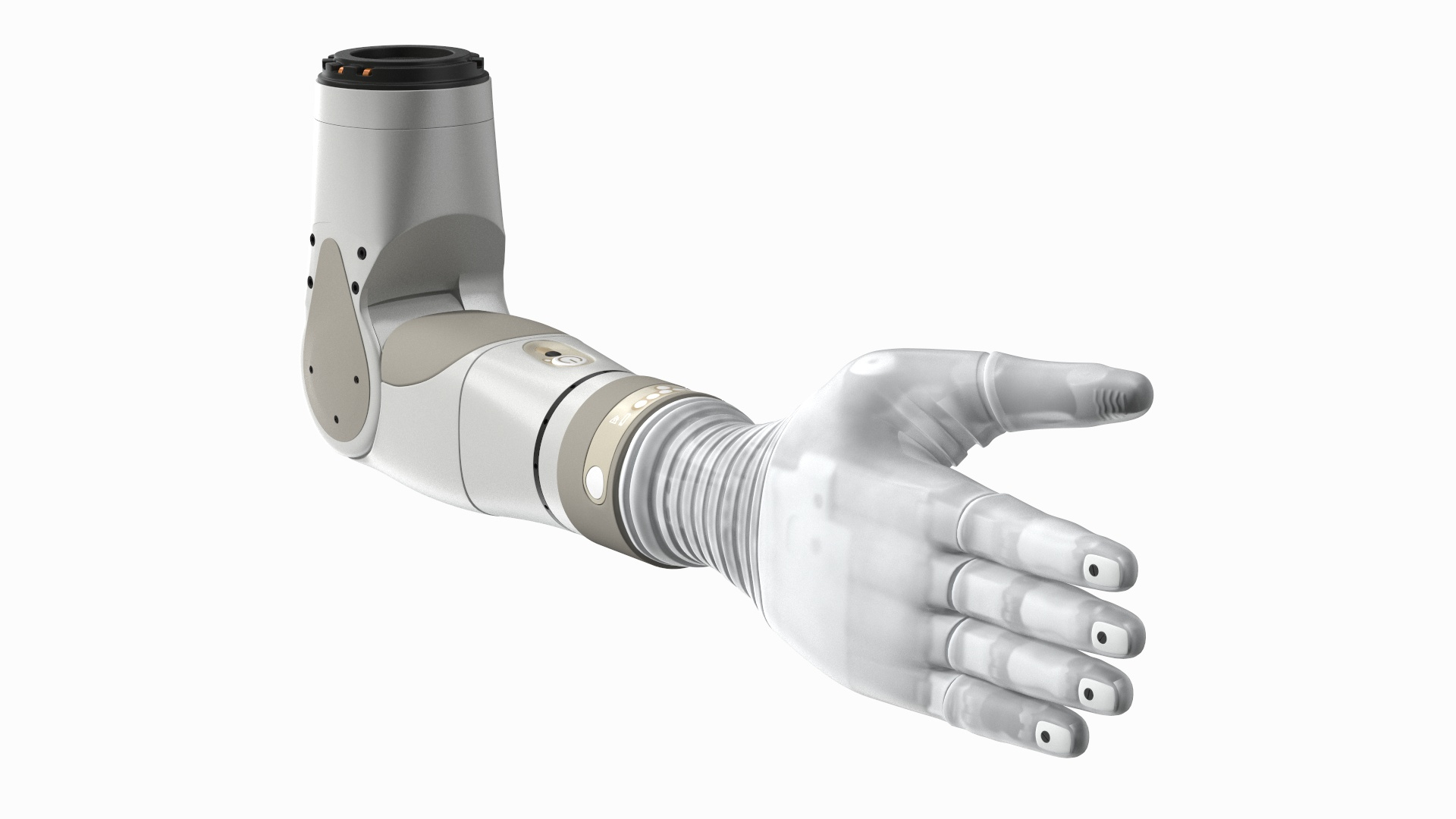 Deka Bionic Arm With Elbow 3D Model - TurboSquid 2063834