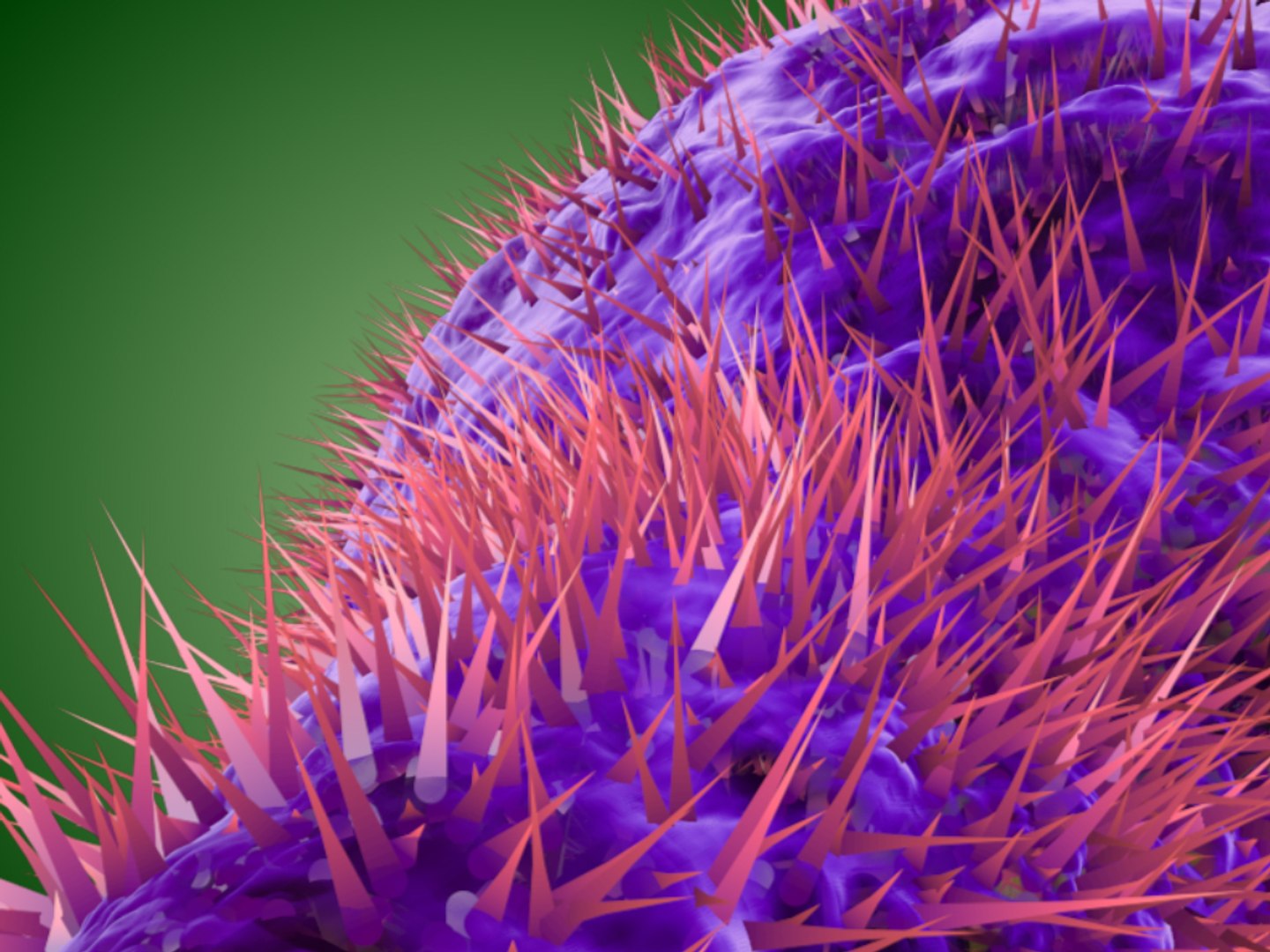 3d 3ds Plasmodium Cell Malaria