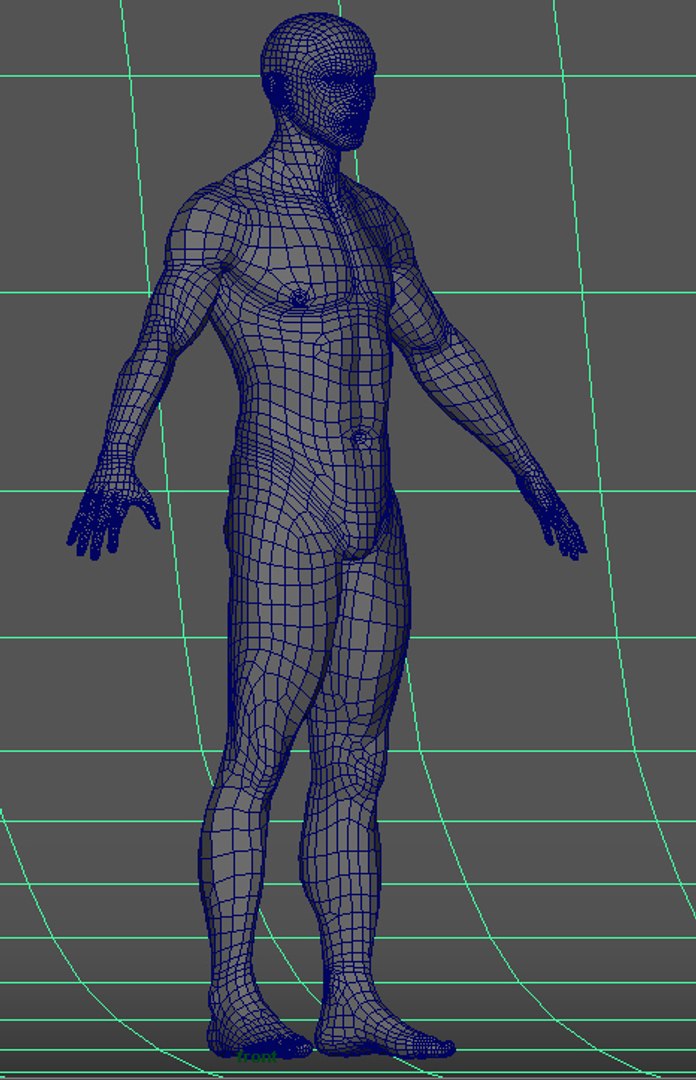 maya male body base mesh