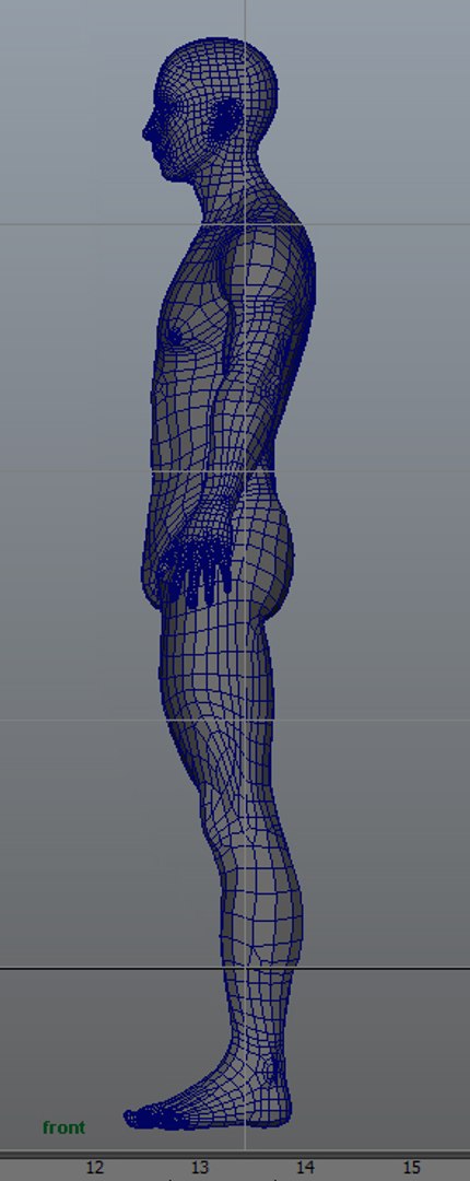 maya male body base mesh