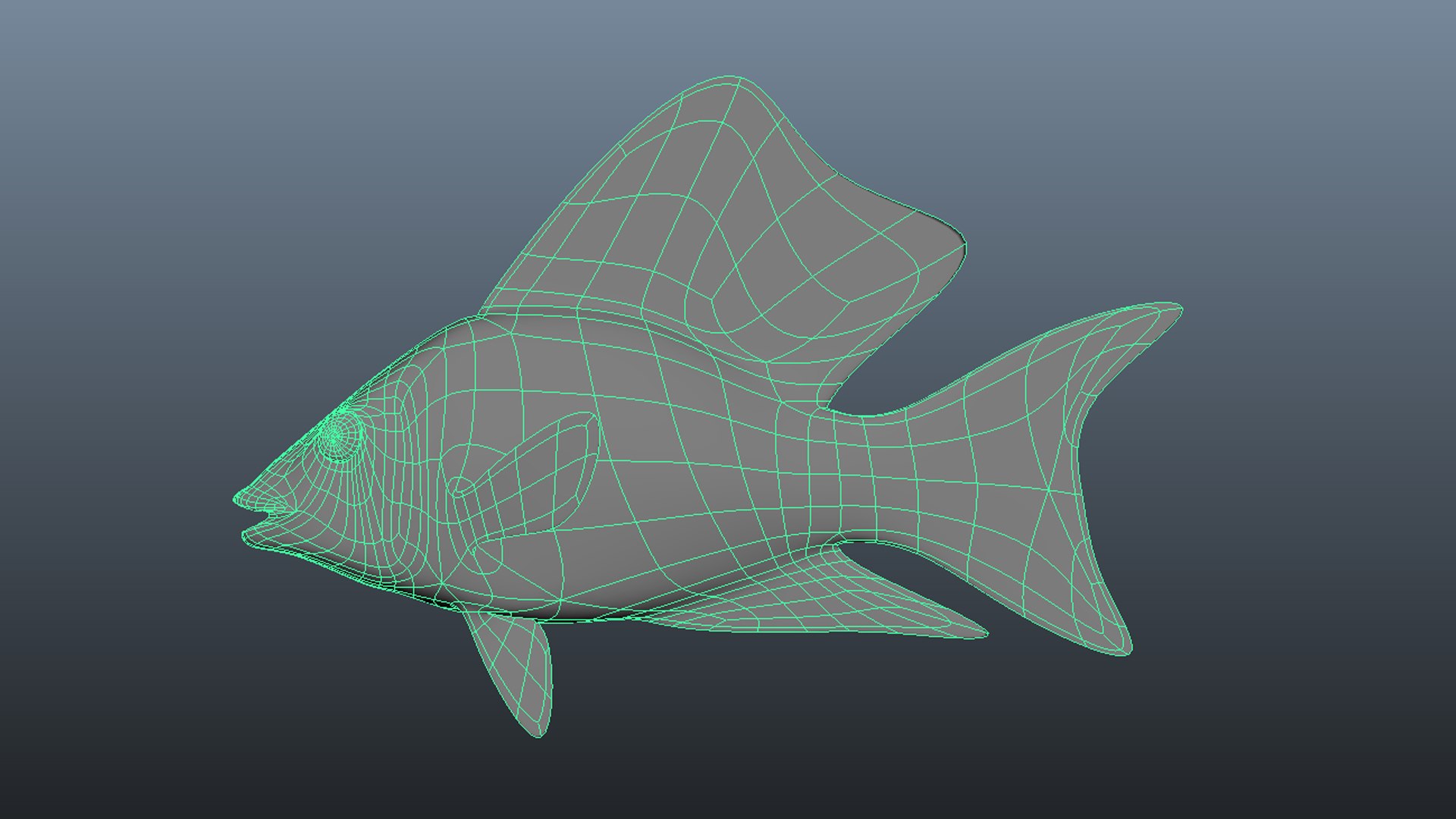3D Hogfish Collection model - TurboSquid 1813973