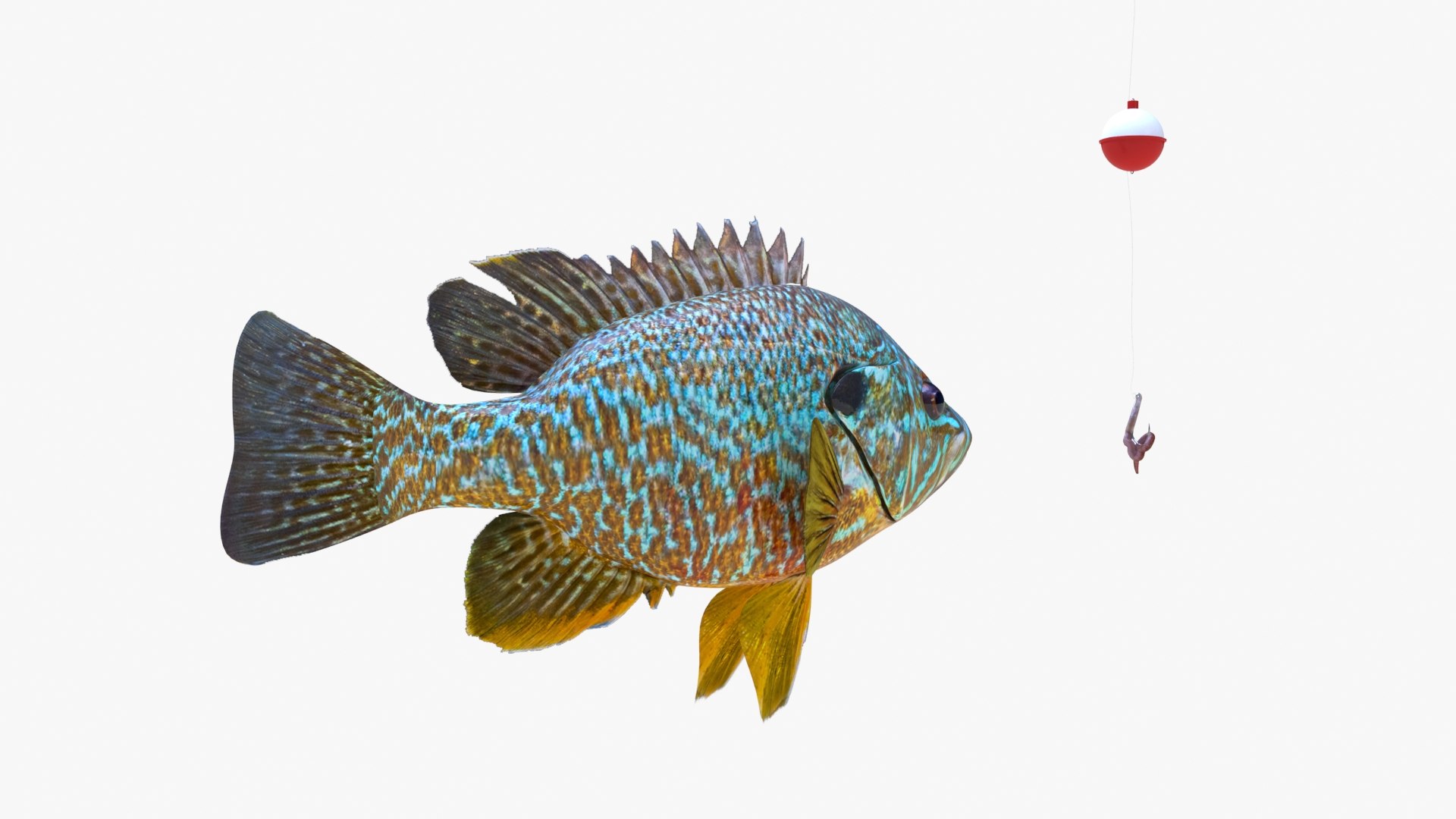 Animation Fish Model - TurboSquid 1523577