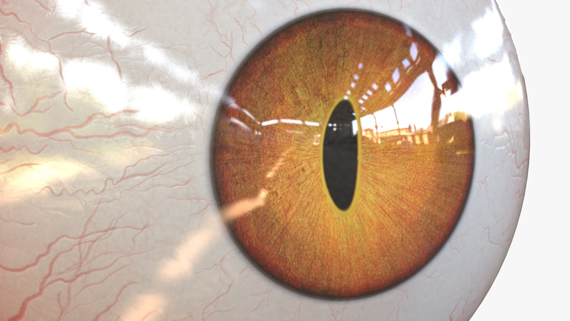 Real Eye Red Creatures 3D Model - TurboSquid 1503377