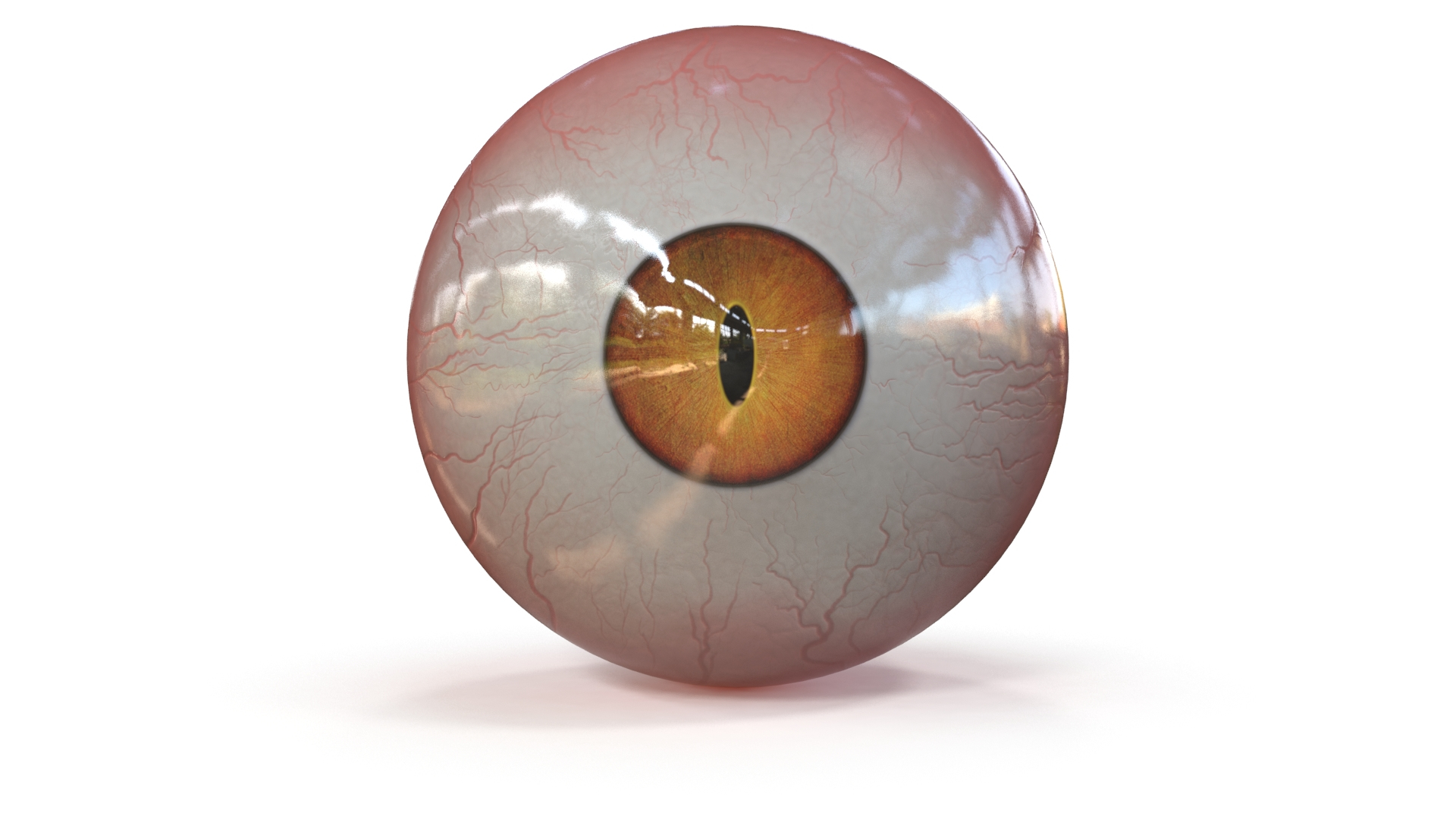 Real Eye Red Creatures 3D Model - TurboSquid 1503377