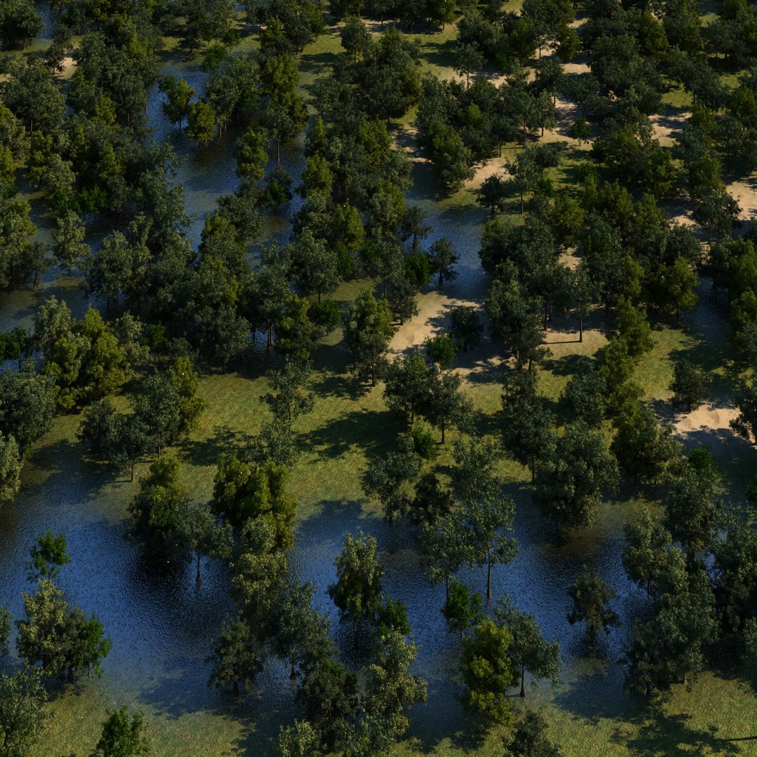 3D Generic Trees Model - TurboSquid 1376352