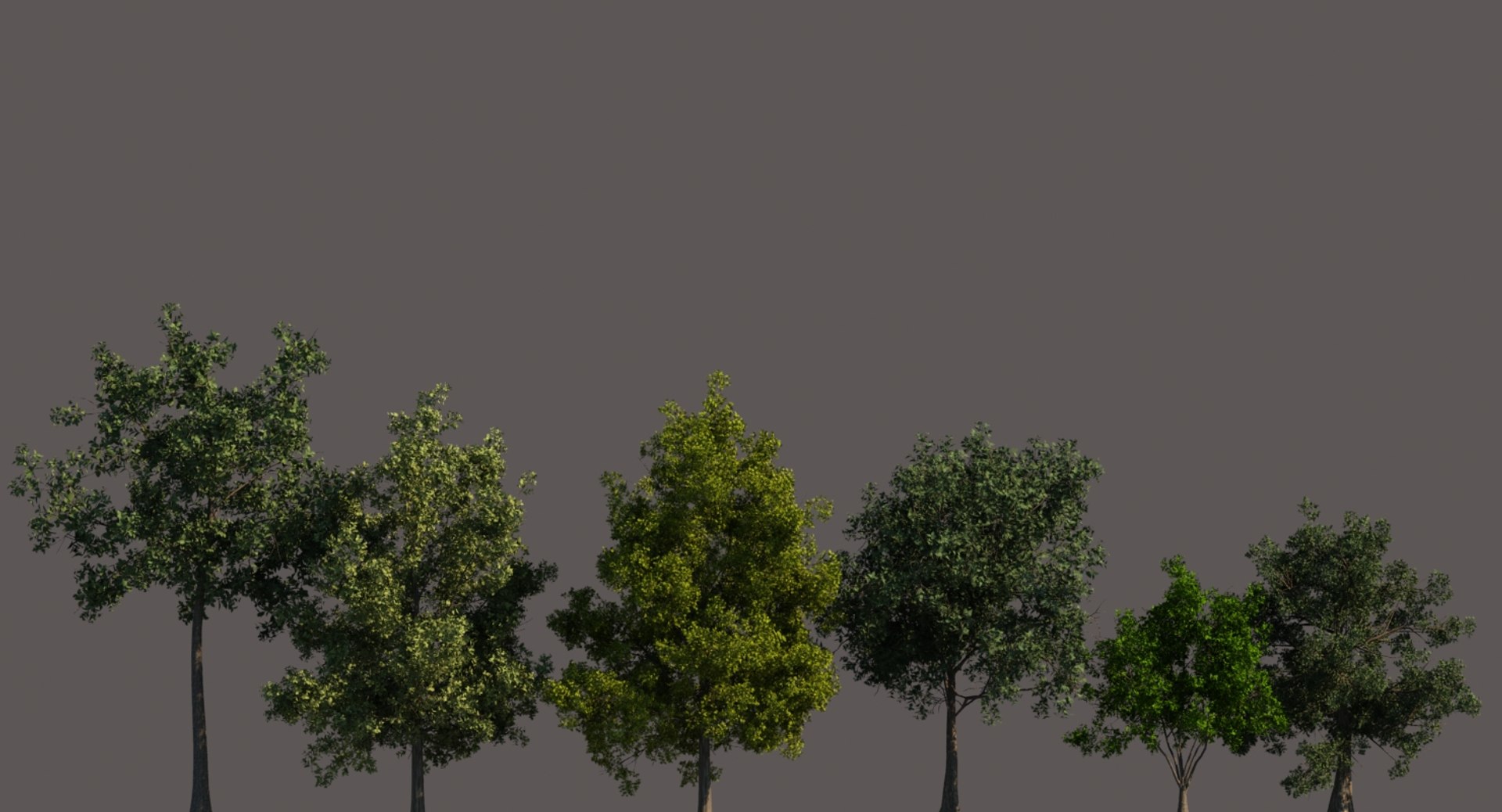 3D Generic Trees Model - TurboSquid 1376352