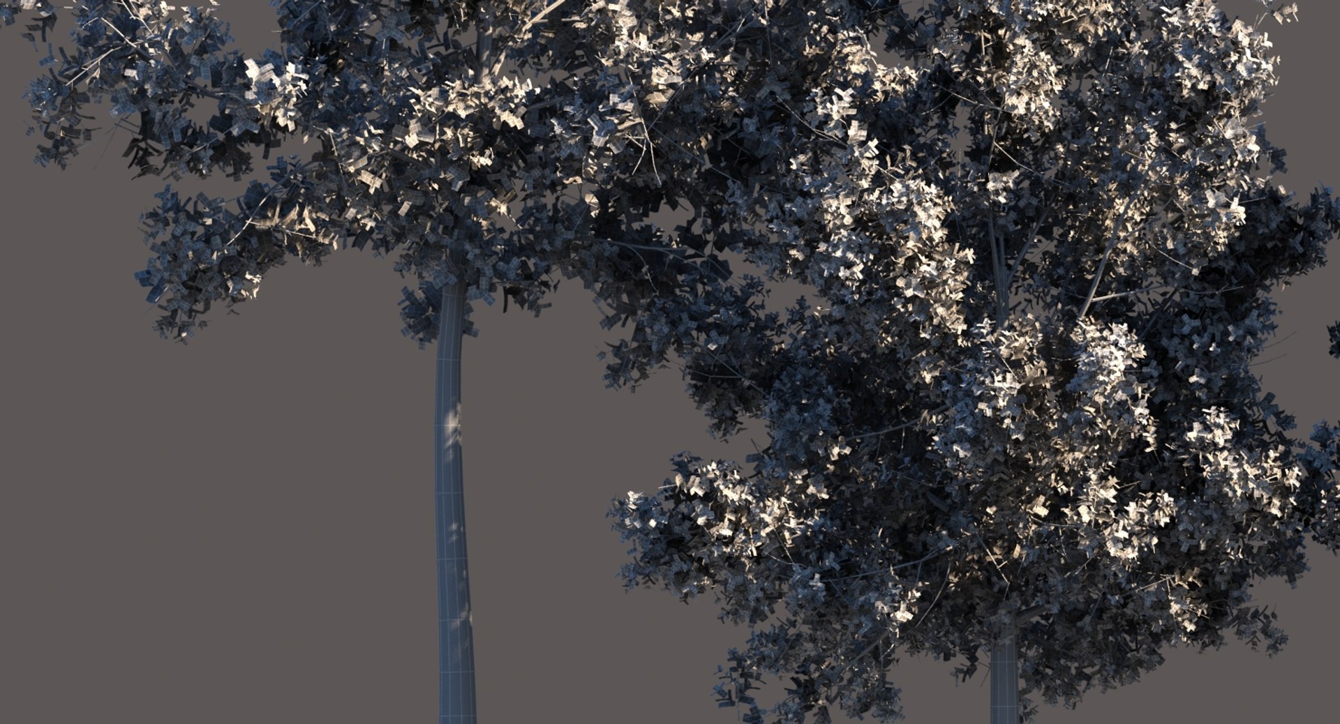 3D Generic Trees Model - TurboSquid 1376352