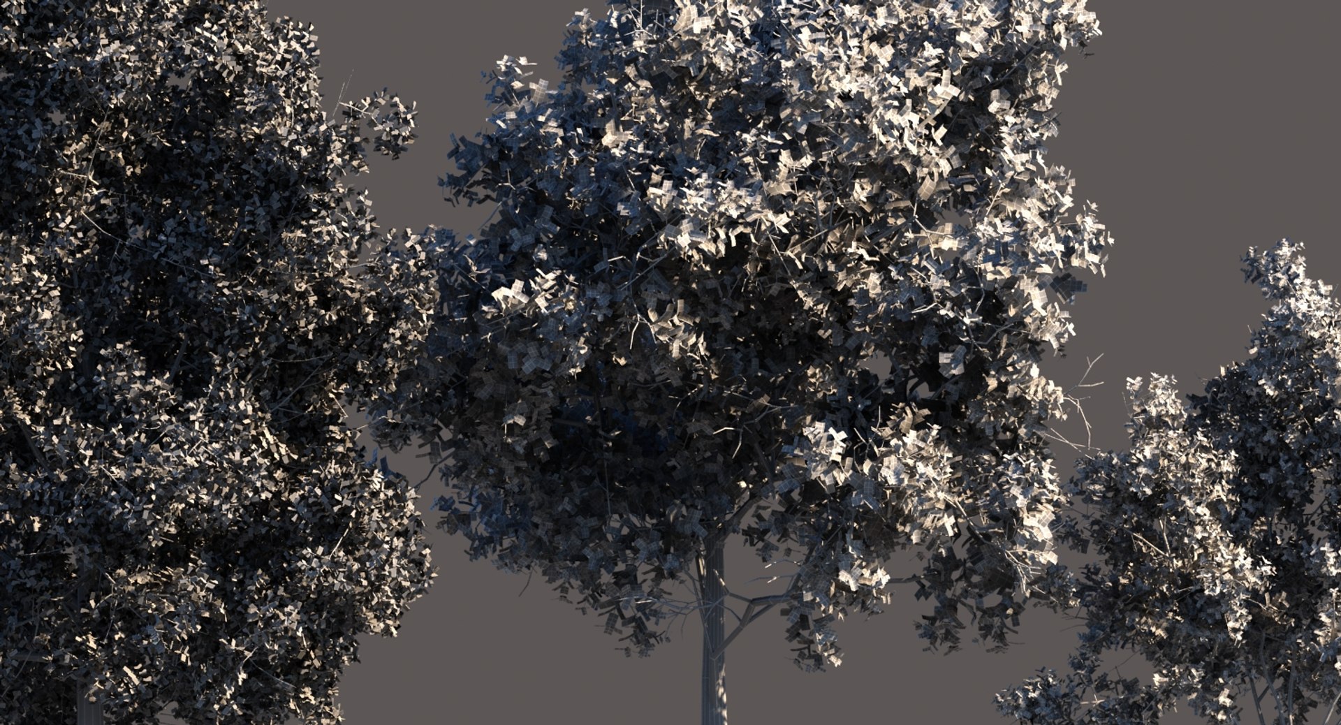 3D Generic Trees Model - TurboSquid 1376352