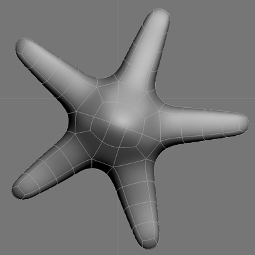 3d Rigged Starfish