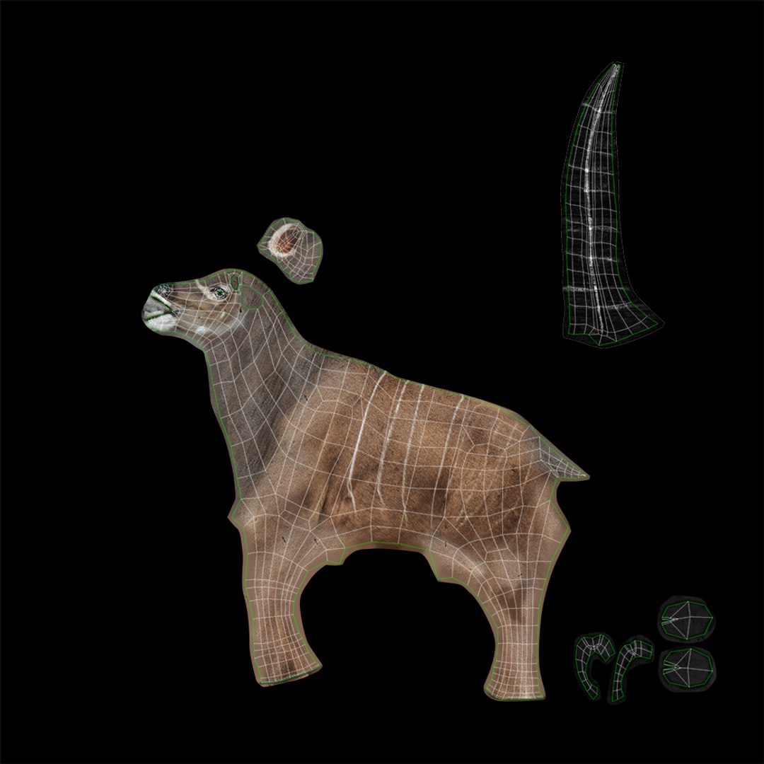 Kudu 3D - TurboSquid 1894438