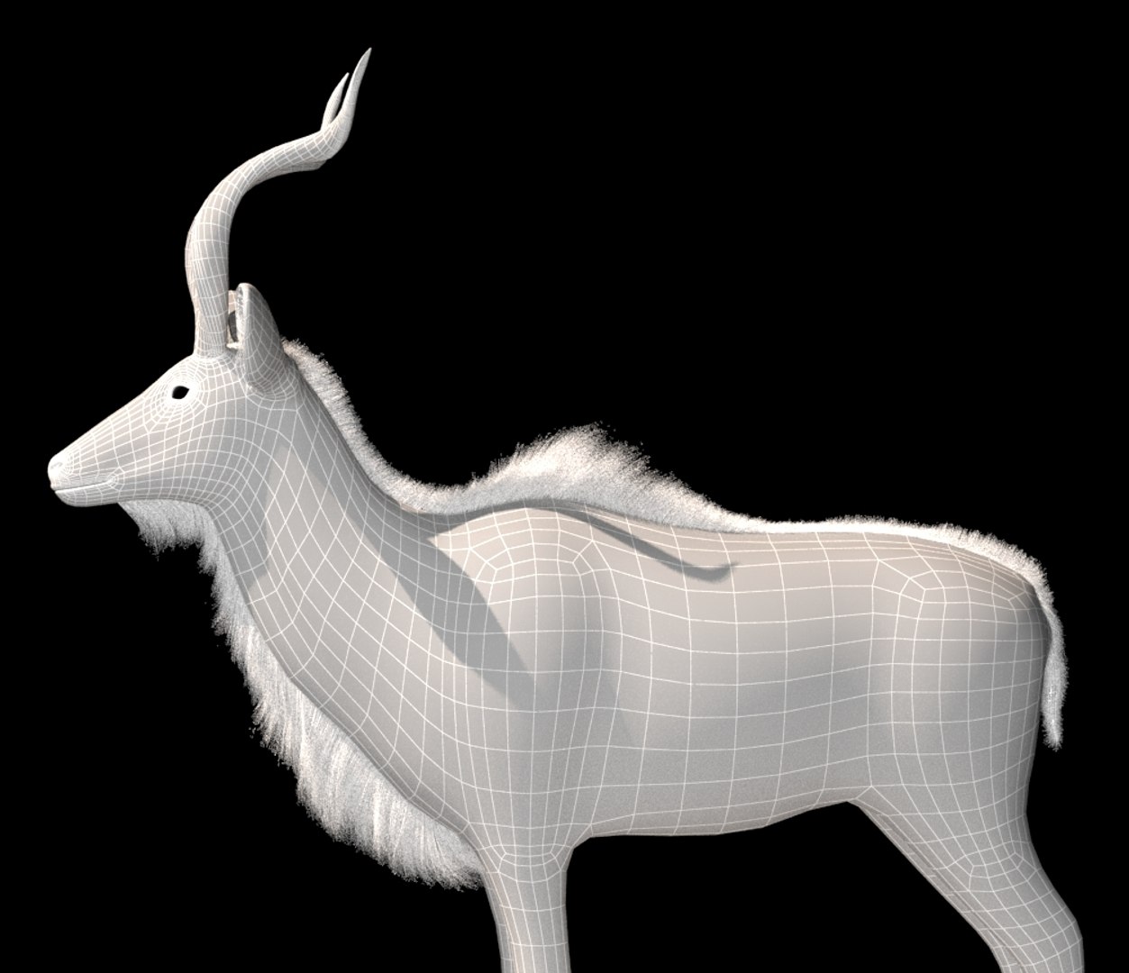 Kudu 3D - TurboSquid 1894438