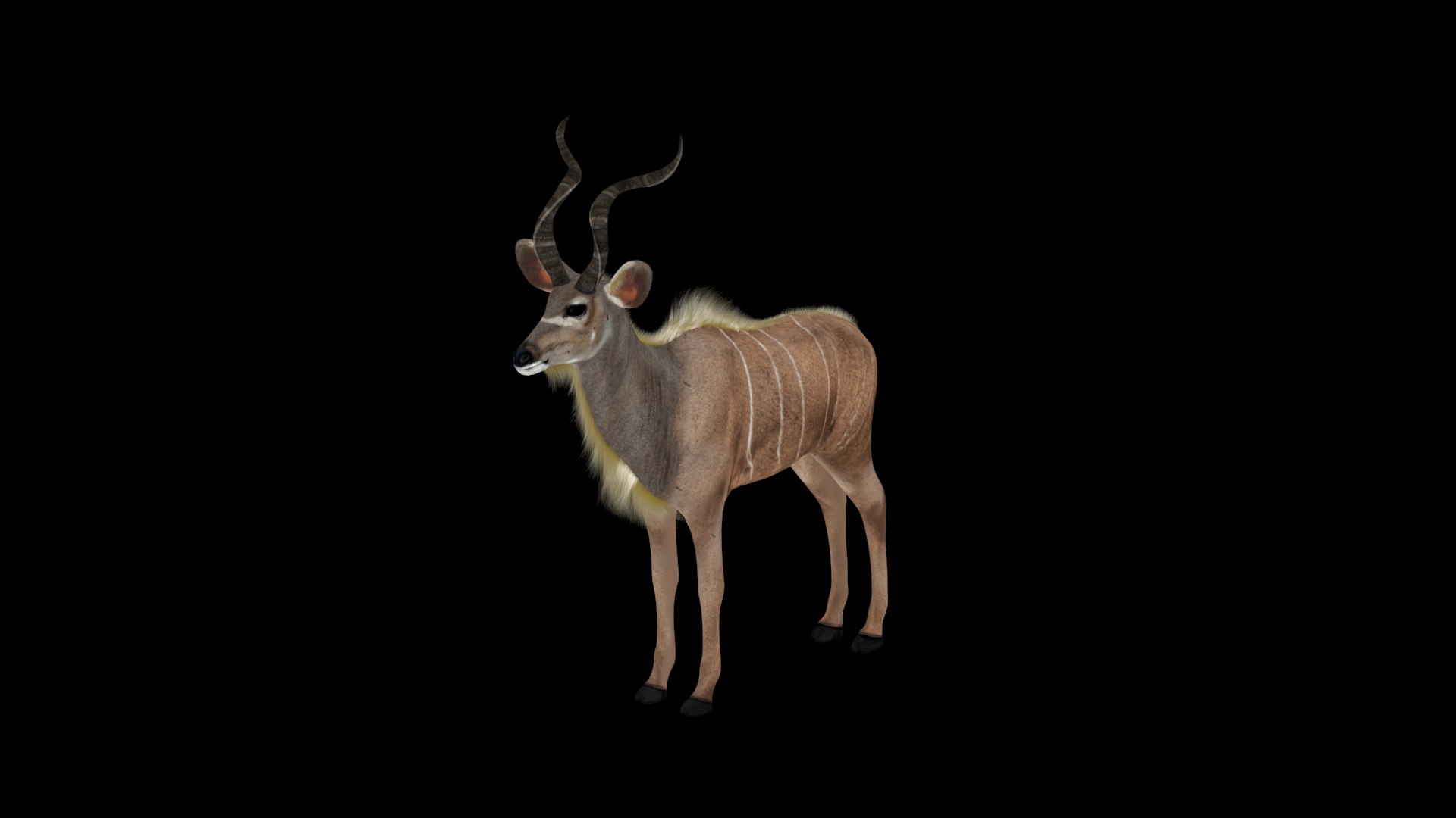 Kudu 3D - TurboSquid 1894438
