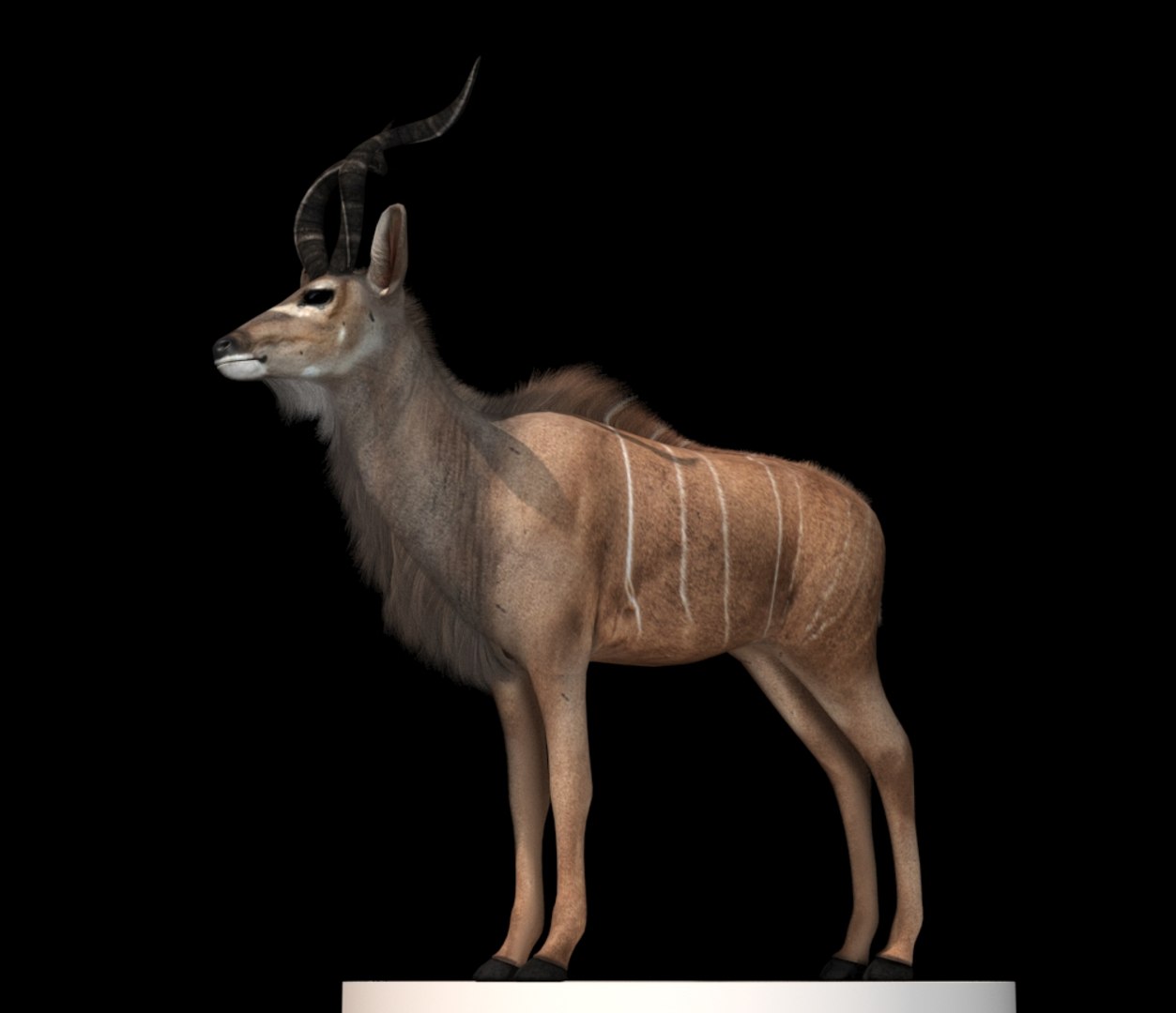 Kudu 3D - TurboSquid 1894438
