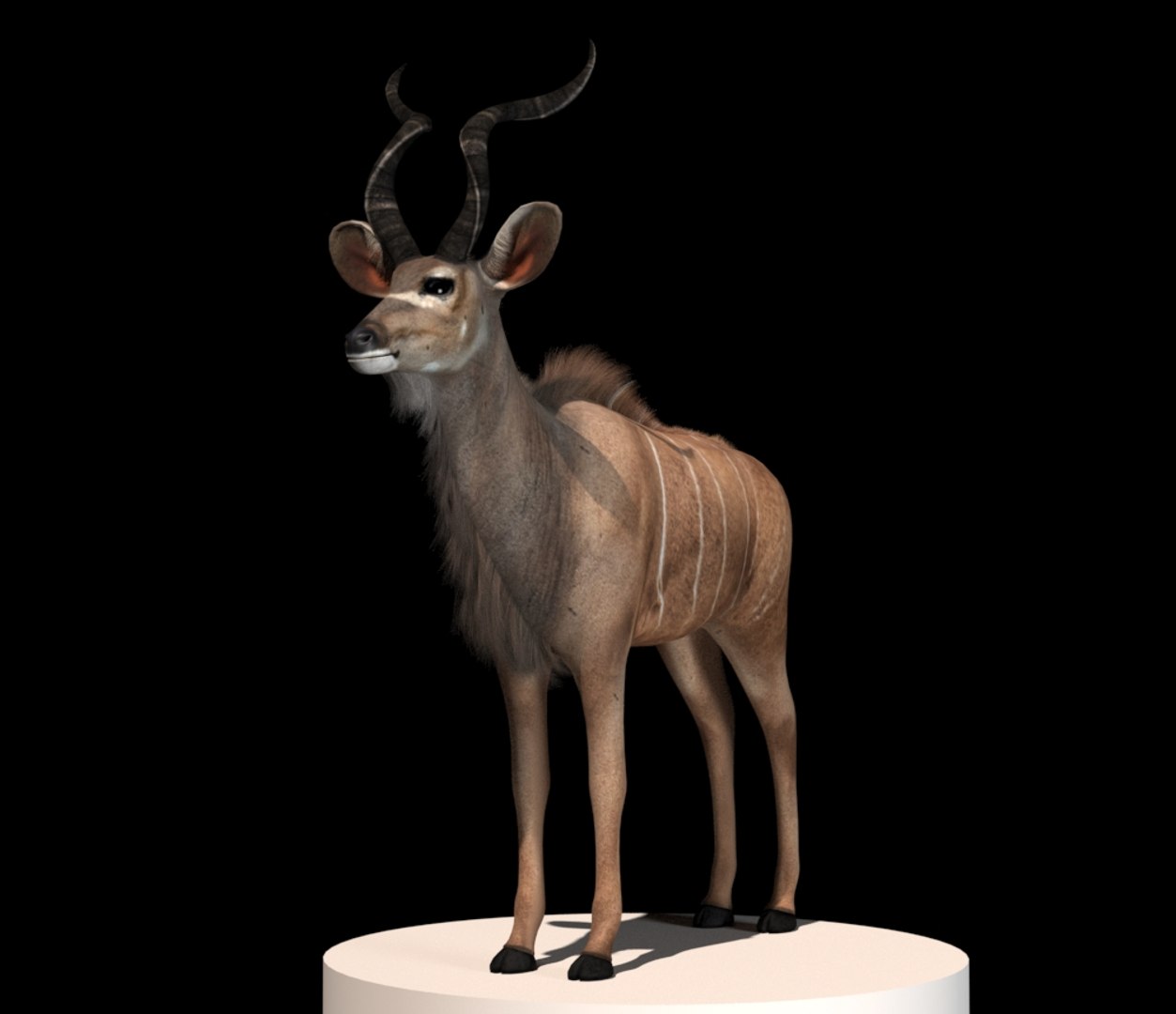 Kudu 3D - TurboSquid 1894438