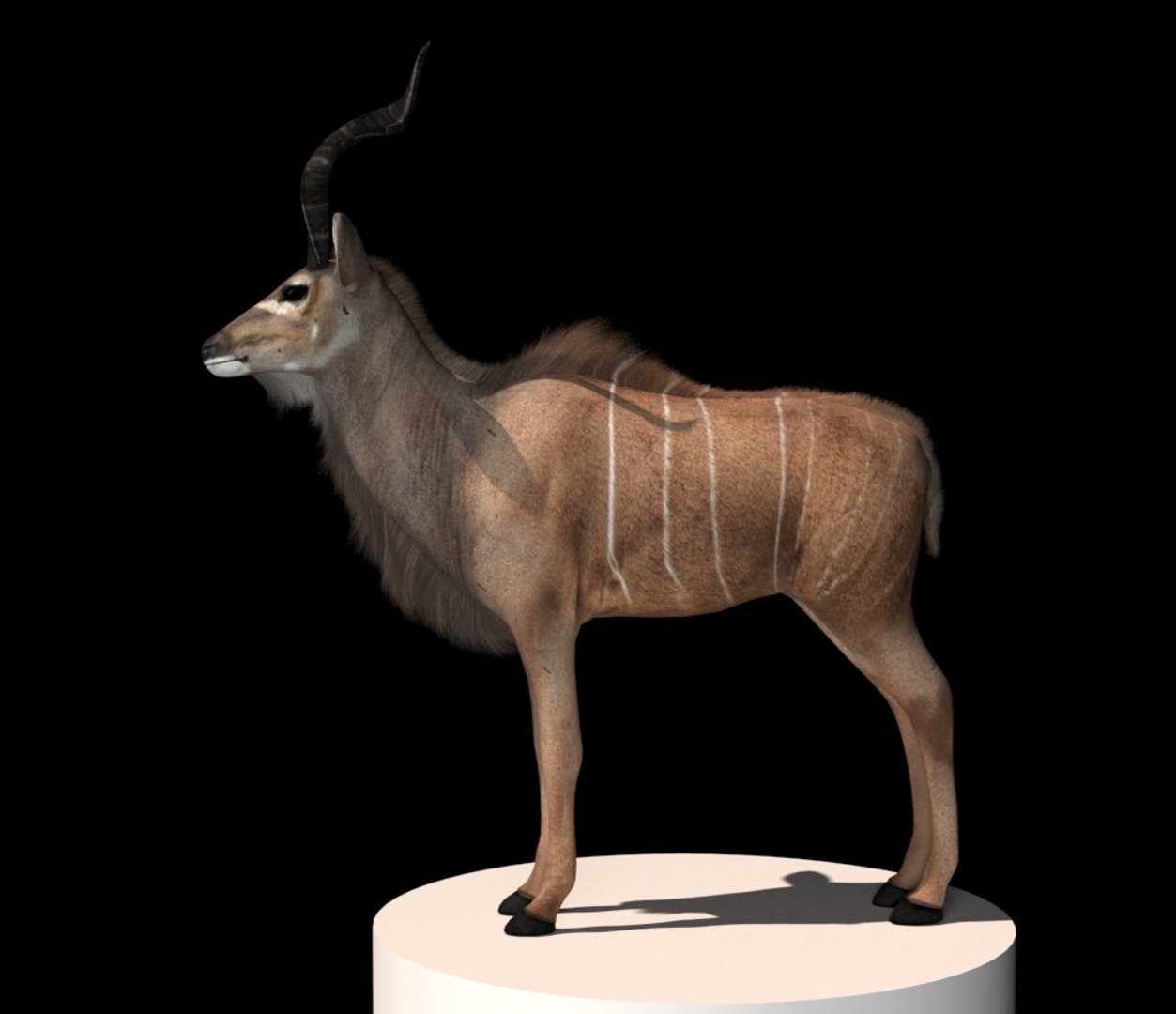 Kudu 3D - TurboSquid 1894438