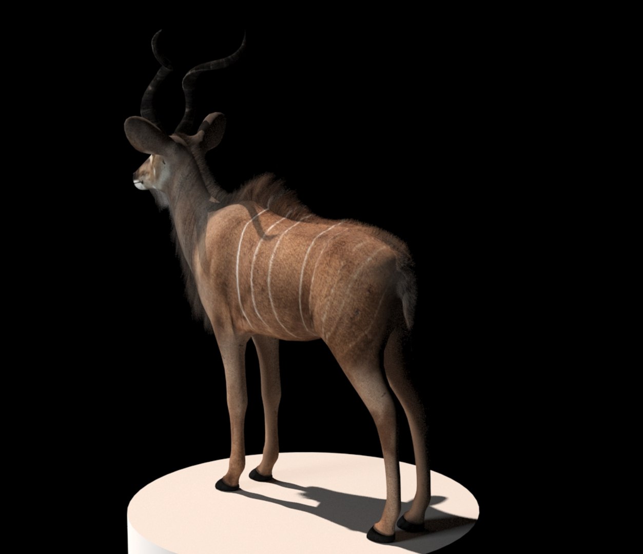 Kudu 3D - TurboSquid 1894438