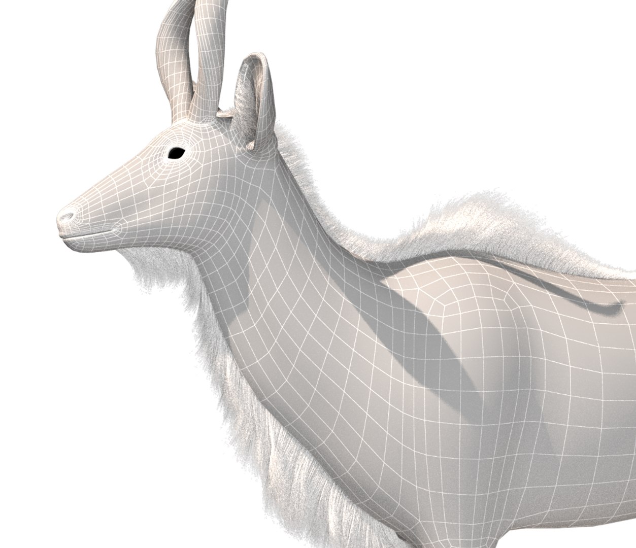 Kudu 3D - TurboSquid 1894438