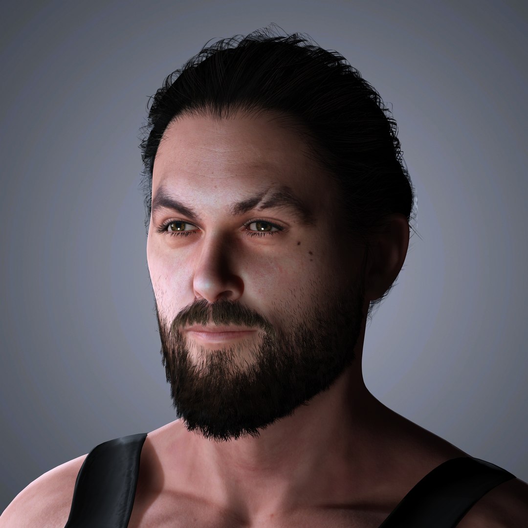3D Jason Momoa Character 3D Model Low Poly Model - TurboSquid 2334995