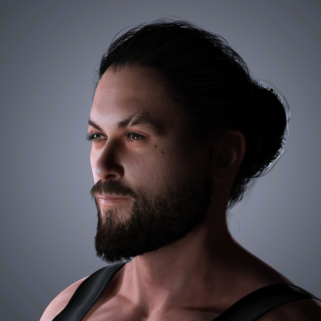 3D Jason Momoa Character 3D Model Low Poly Model - TurboSquid 2334995