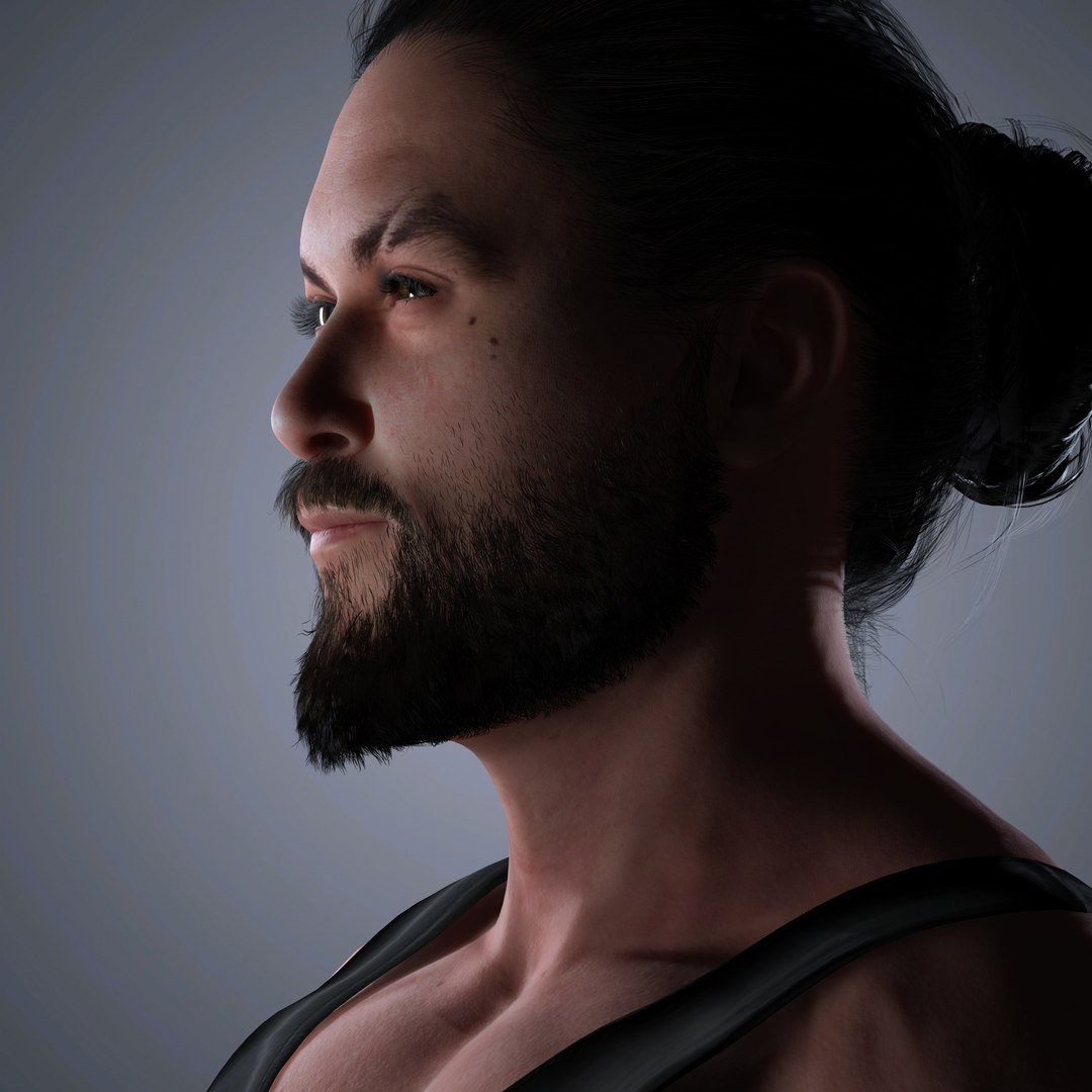 3D Jason Momoa Character 3D Model Low Poly Model - TurboSquid 2334995