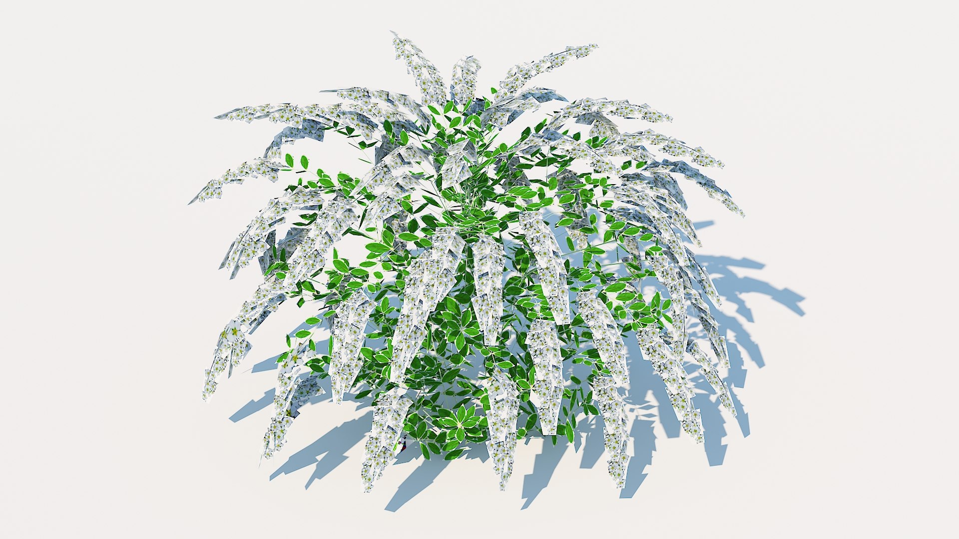 3D Spirea - TurboSquid 2414428