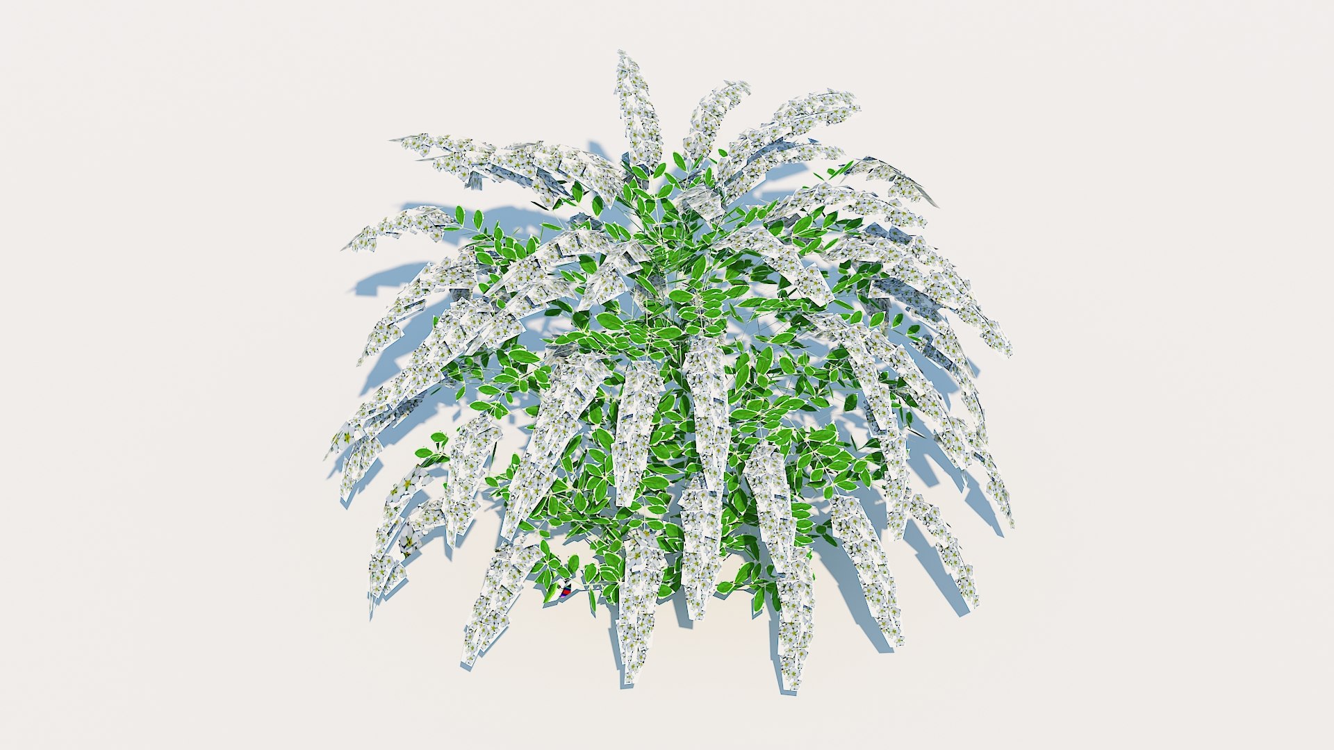 3D Spirea - TurboSquid 2414428