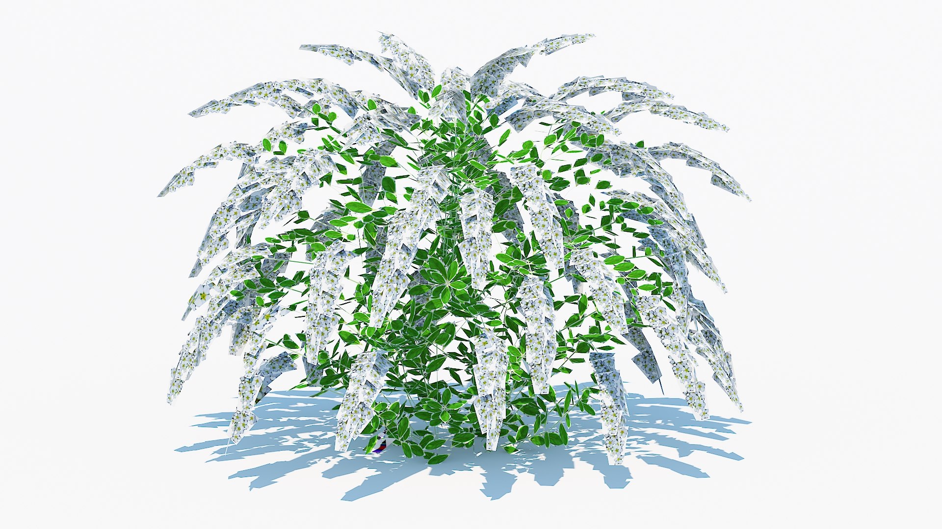 3D Spirea - TurboSquid 2414428