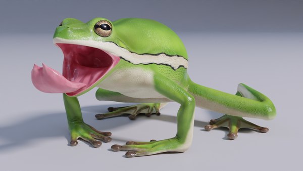 American Green Tree Frog - Animated 3D - TurboSquid 1767316