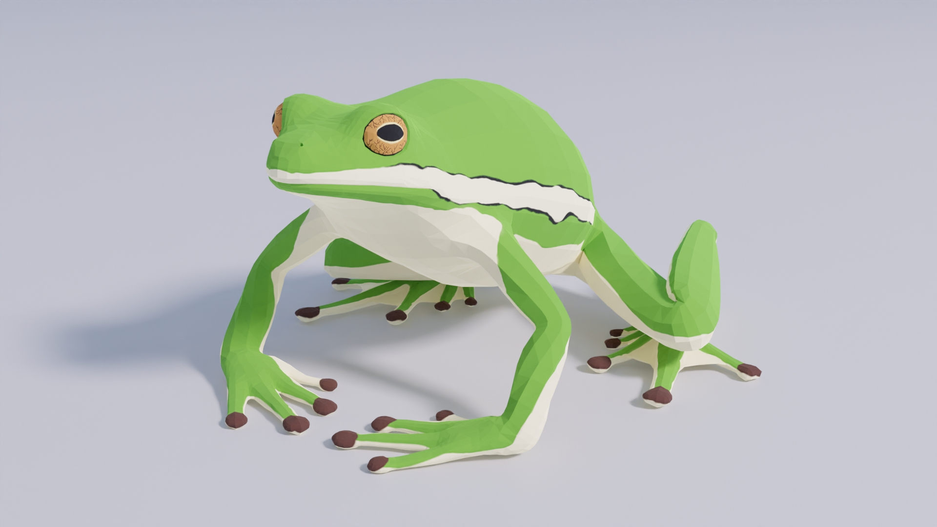 American Green Tree Frog - Animated 3D - TurboSquid 1767316