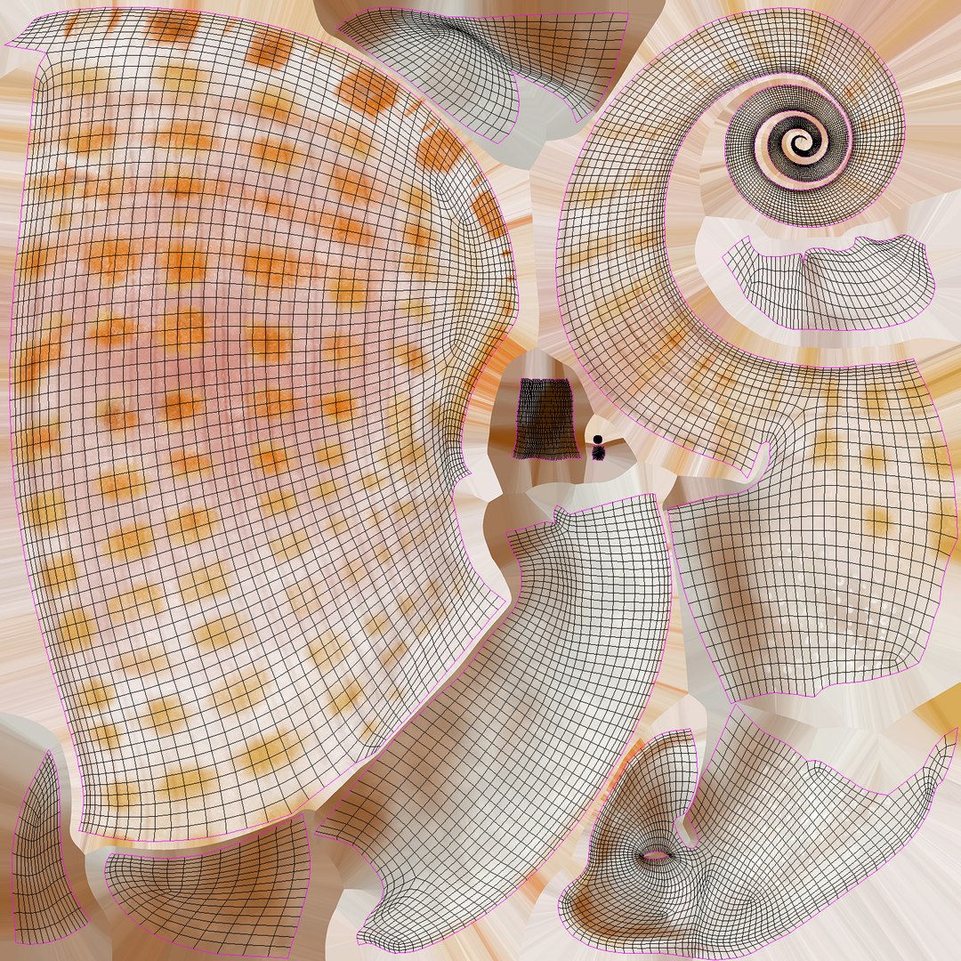 3d scotch bonnet shell